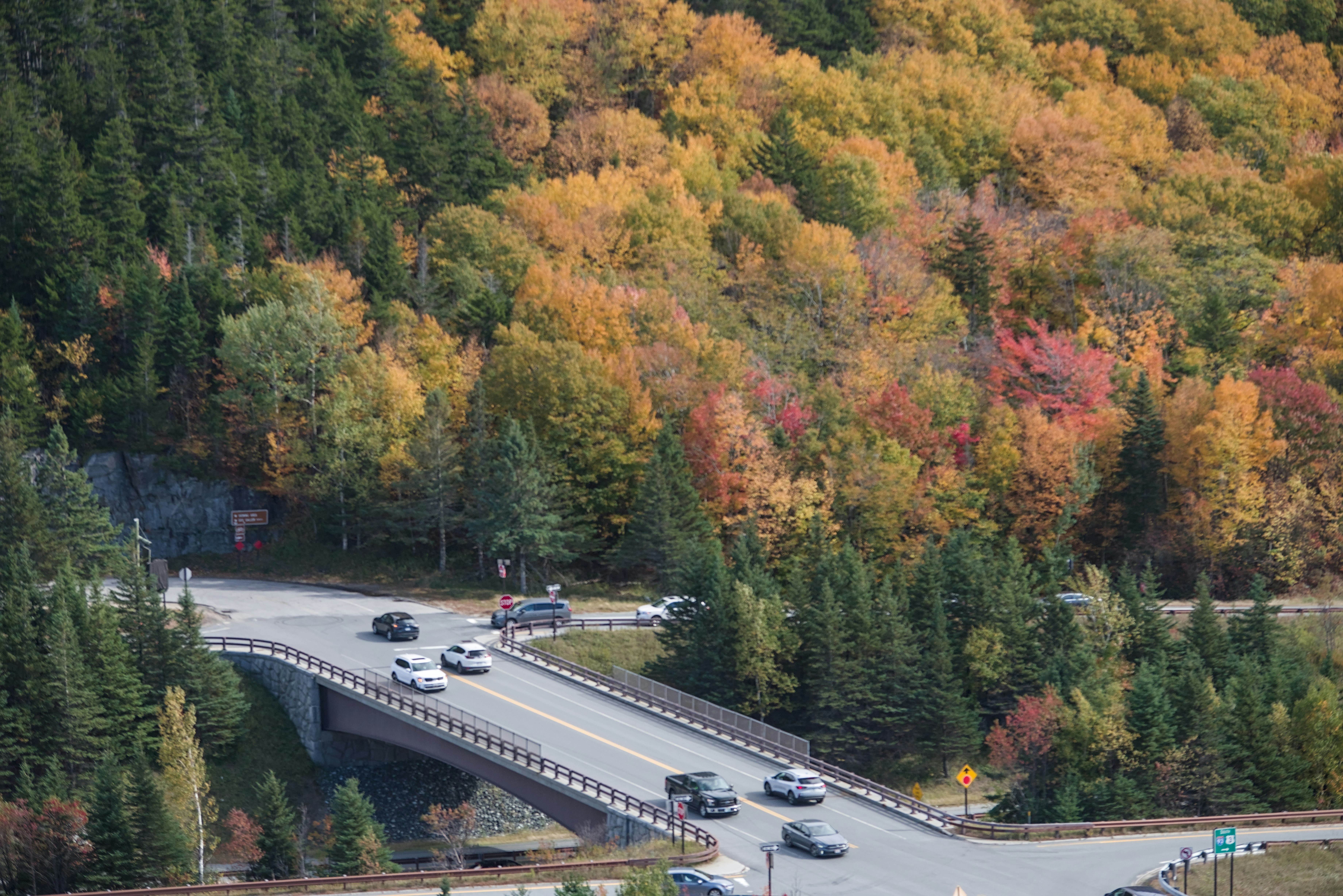 Autumn Overpass: A Forested Bend Carves Through Colorful Hills