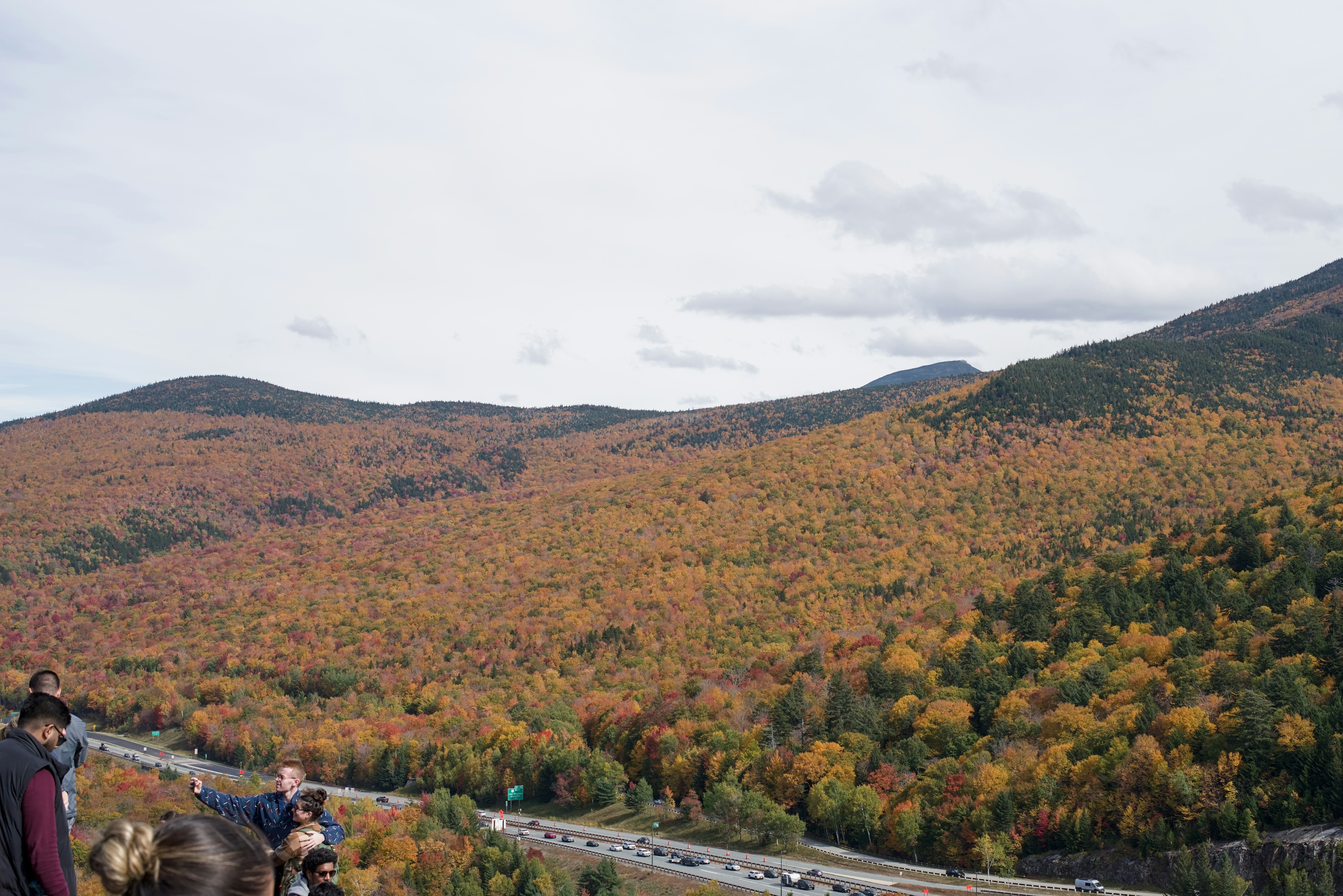 Autumn Ridge: Forested Hills and a Curving Highway