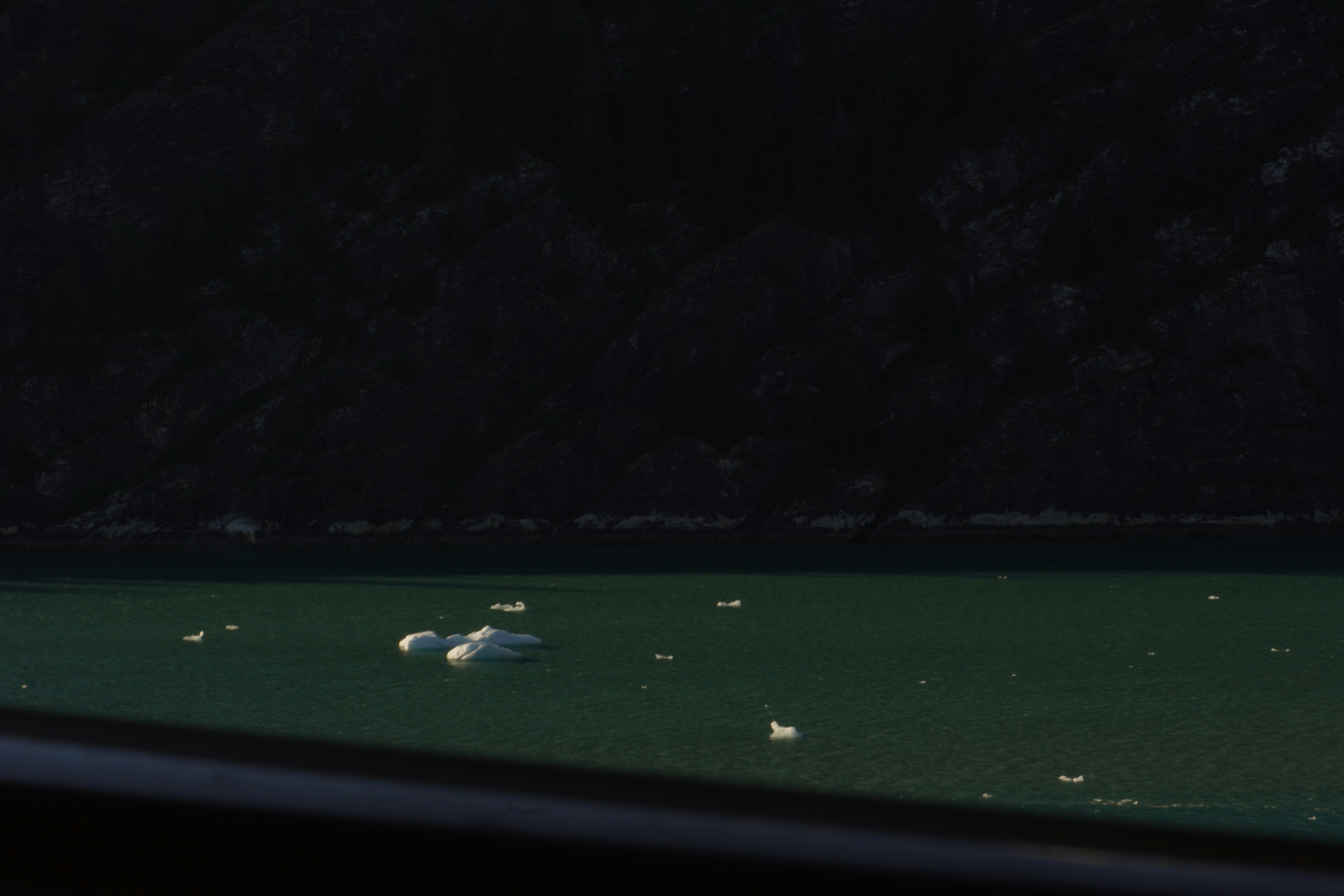 Sea-green Calm: Distant Birds on Quiet Water at Dusk