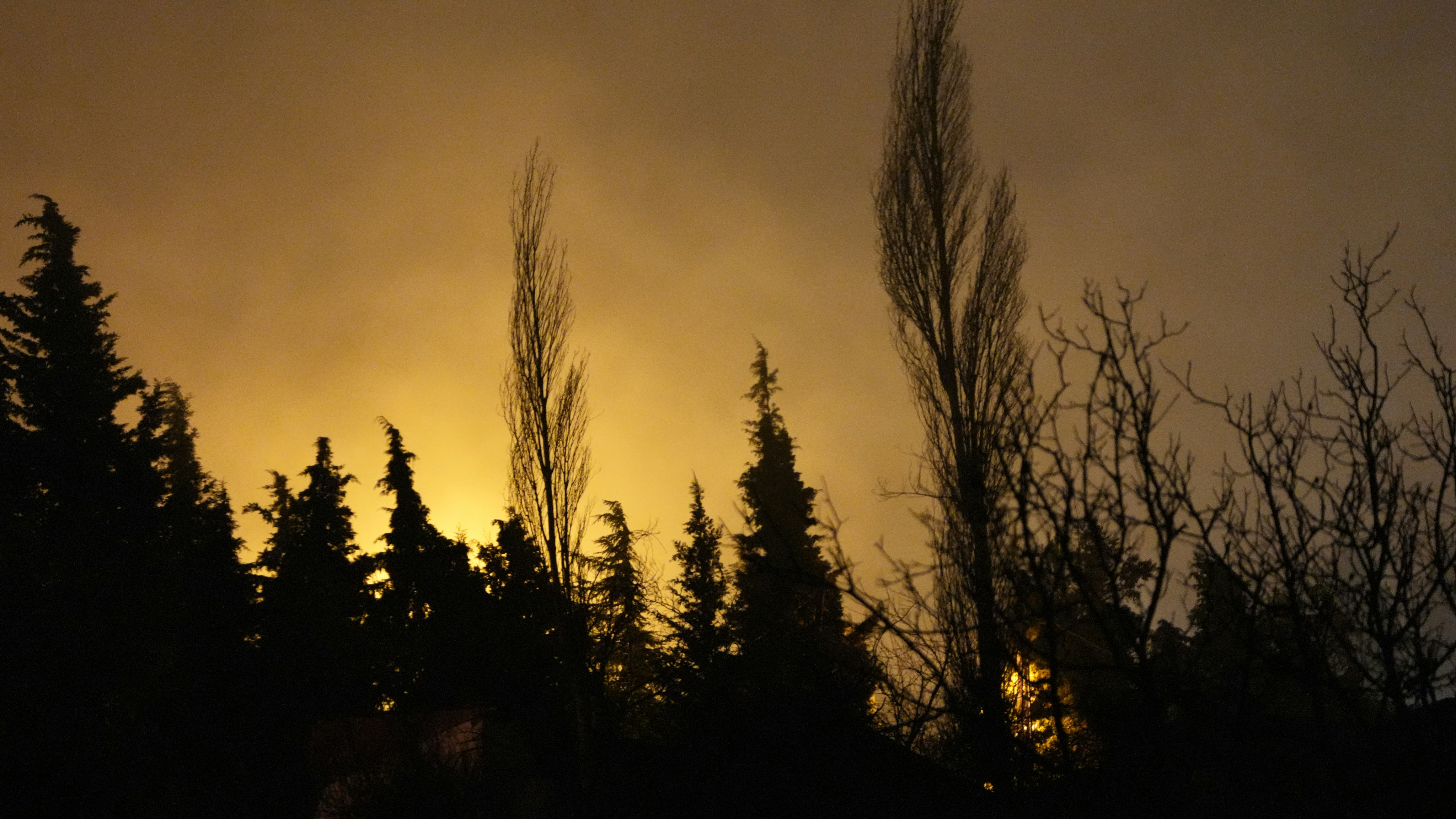 Sunset Choir: Dark Silhouettes Beneath a Clouded Ember Sky