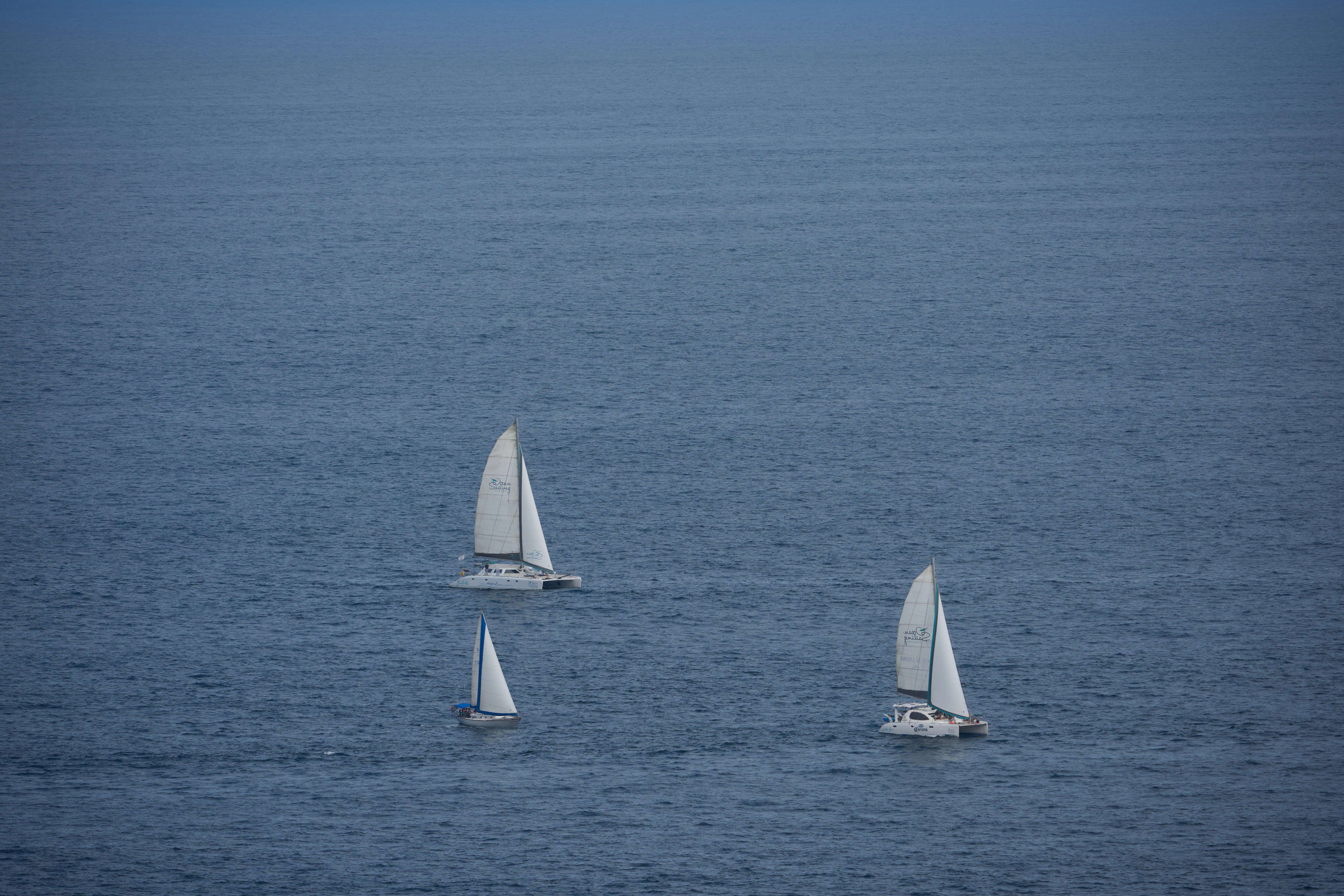 Three sailboats drift on a flat blue sea with white sails catching light, creating a serene maritime scene.
