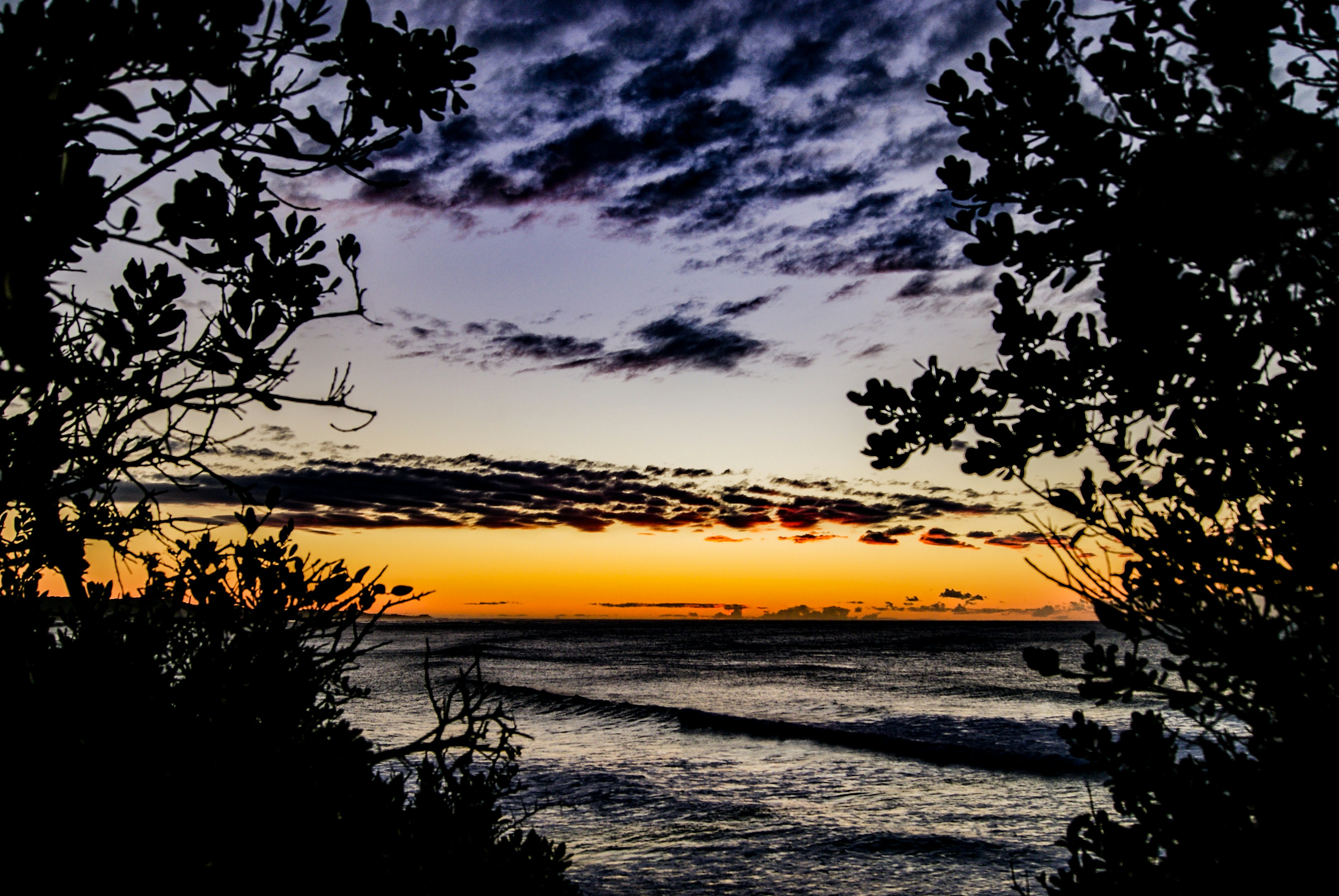 Silhouetted branches frame a tranquil coastal sunset with a vibrant orange horizon and calm water, emphasizing mood and composition.