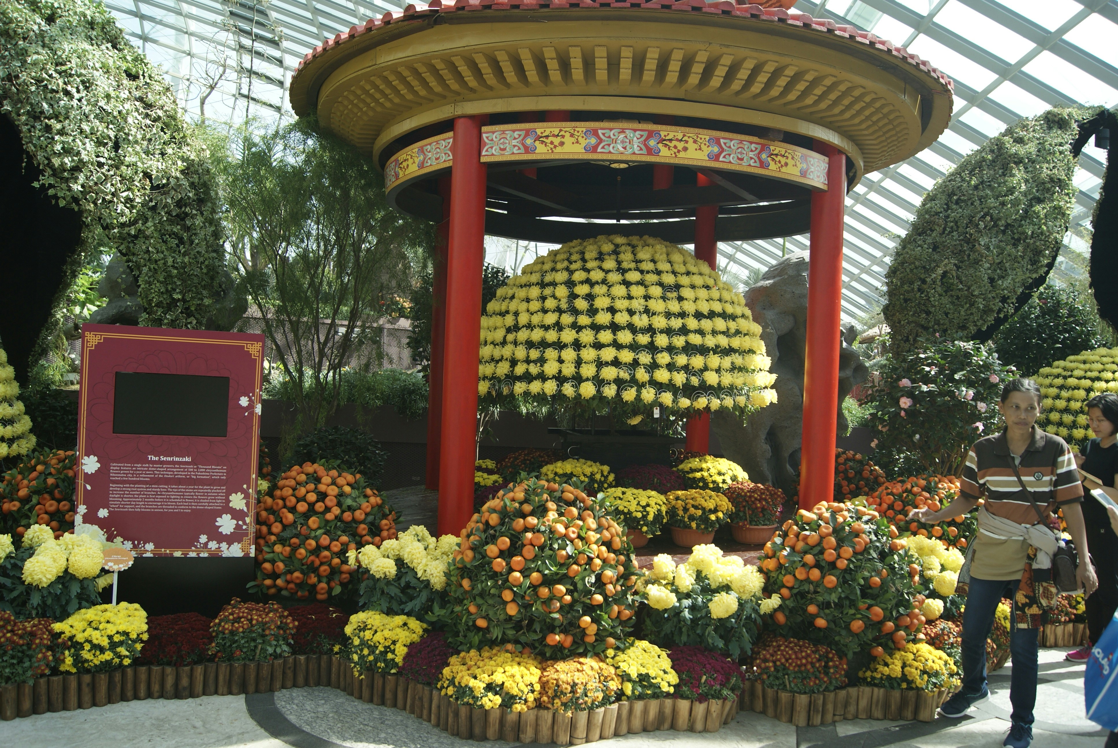 Floral Dome: A Blossoming Centerpiece in a Glasshouse