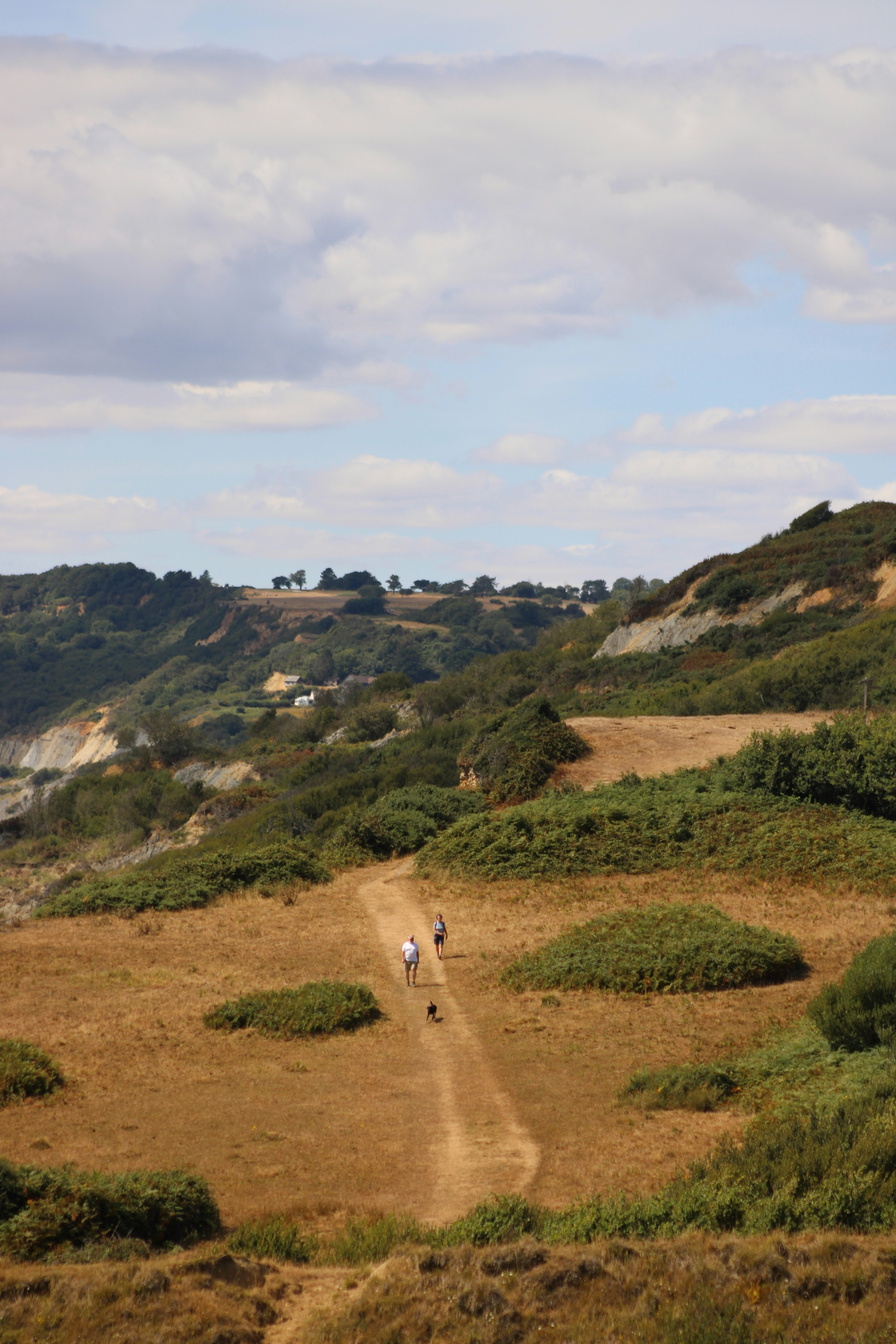 Dusty path winds through golden moorland toward distant hills, with two hikers and a small dog traversing the center. Landscape reveals rolling ridges, sparse shrubs, and a bright sky, suggesting a serene outdoor excursion.