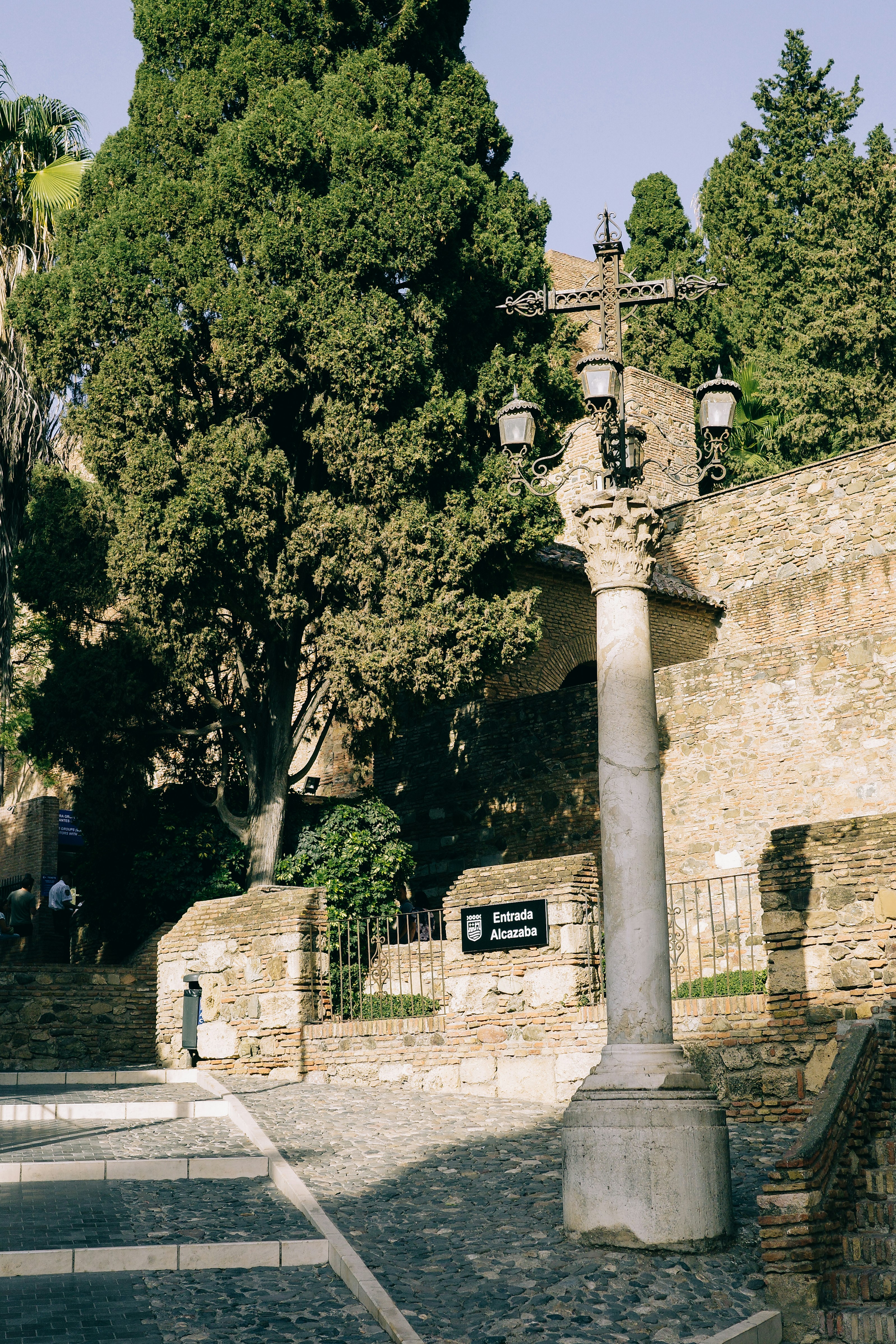 Stone Crosswatch: A Classic Plaza Under Tall Cypresses