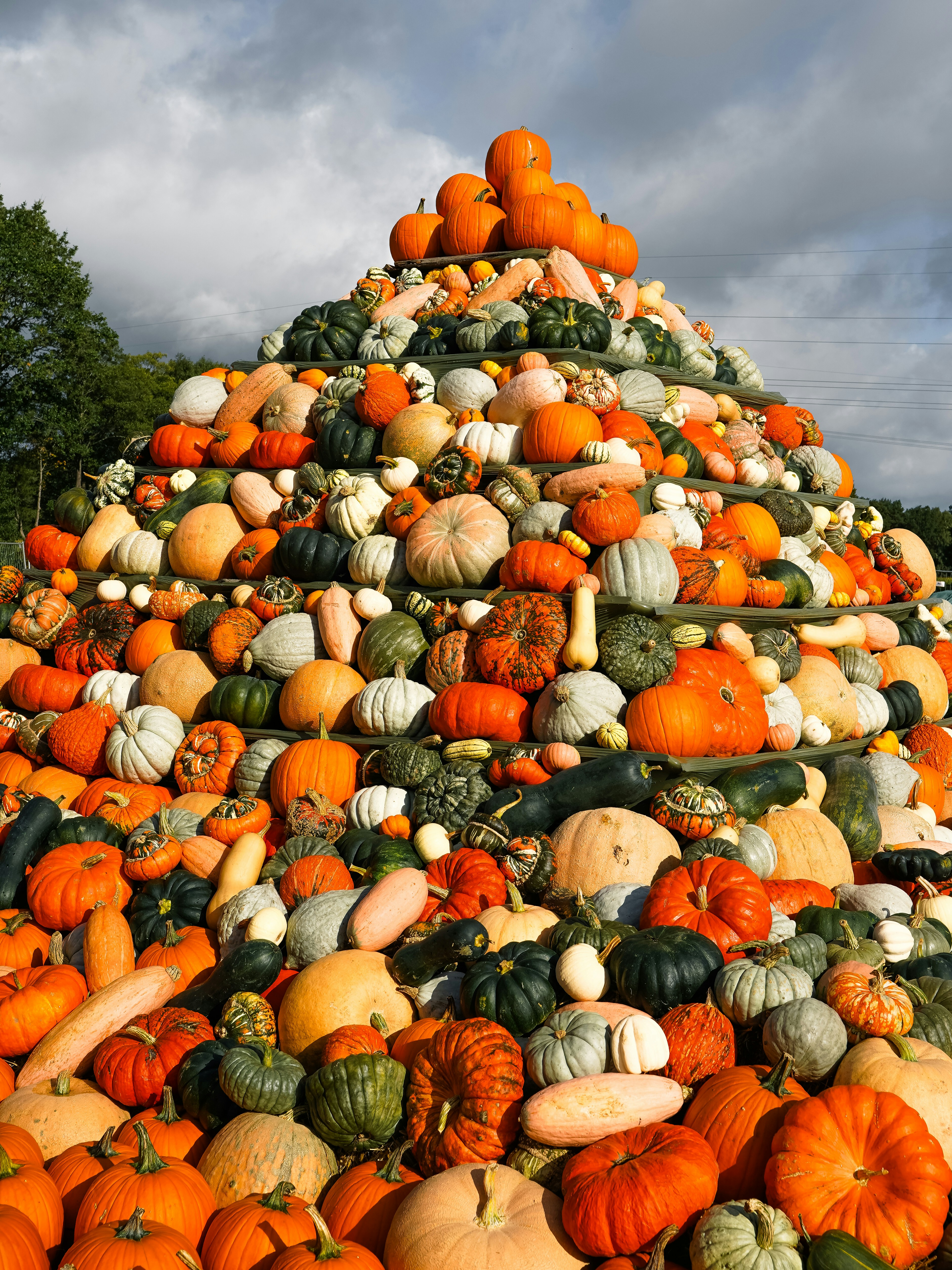 Pumpkin Peak: A Conical Pyramid of Harvest Hues