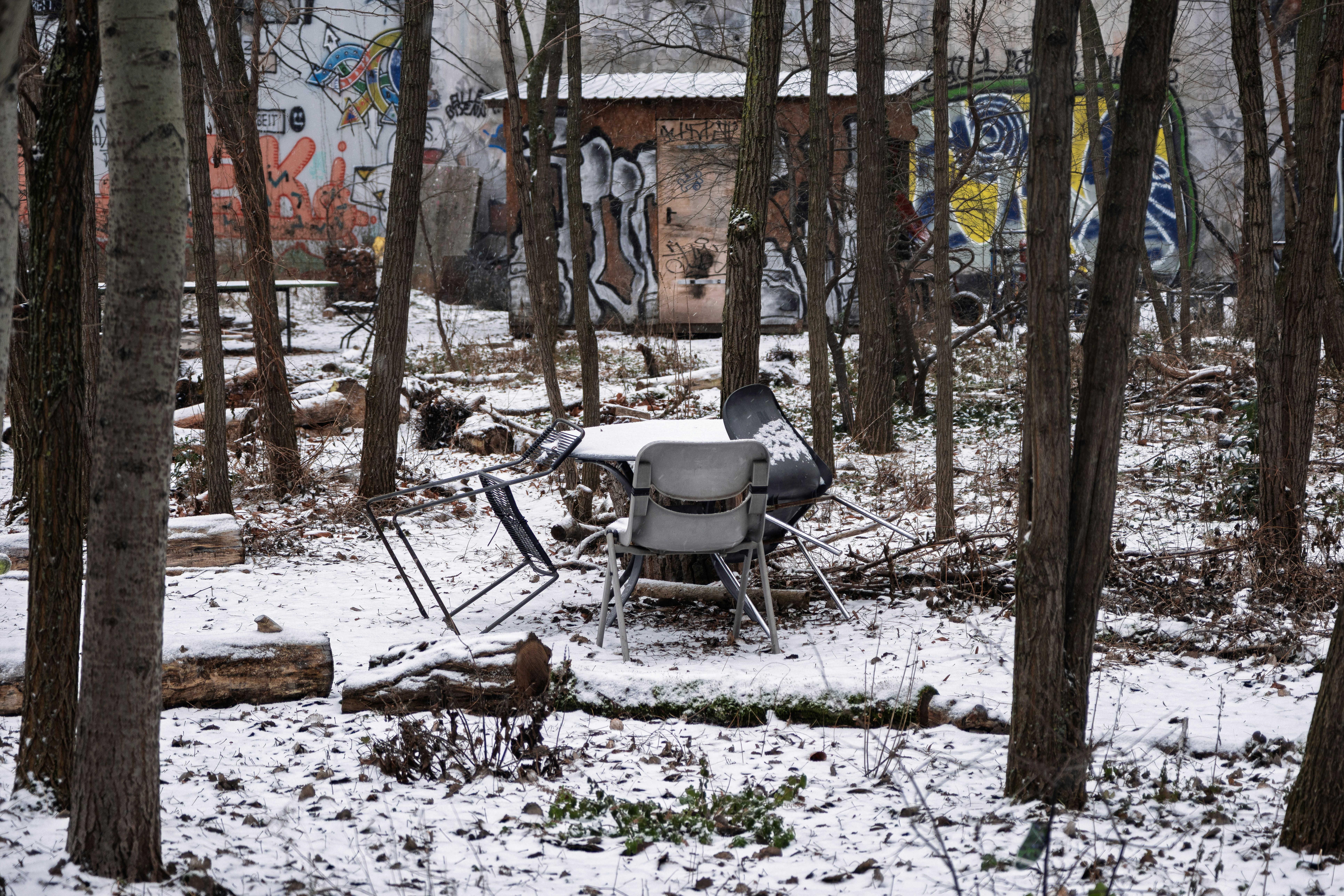 Winter Circle: An Abandoned Table Under Graffiti-Lined Branches