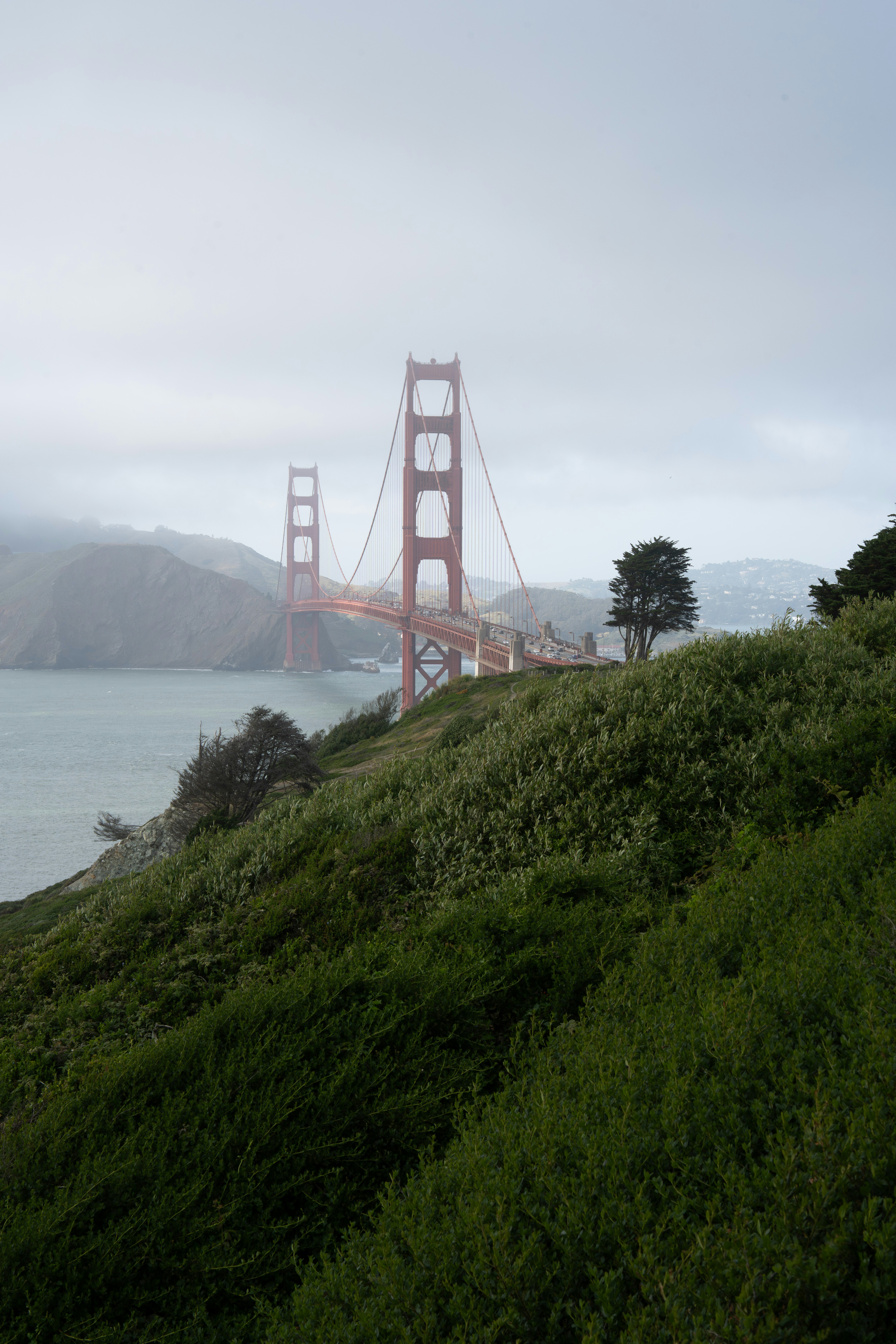Misty Golden Gate Span Rising Over Green Cliffs