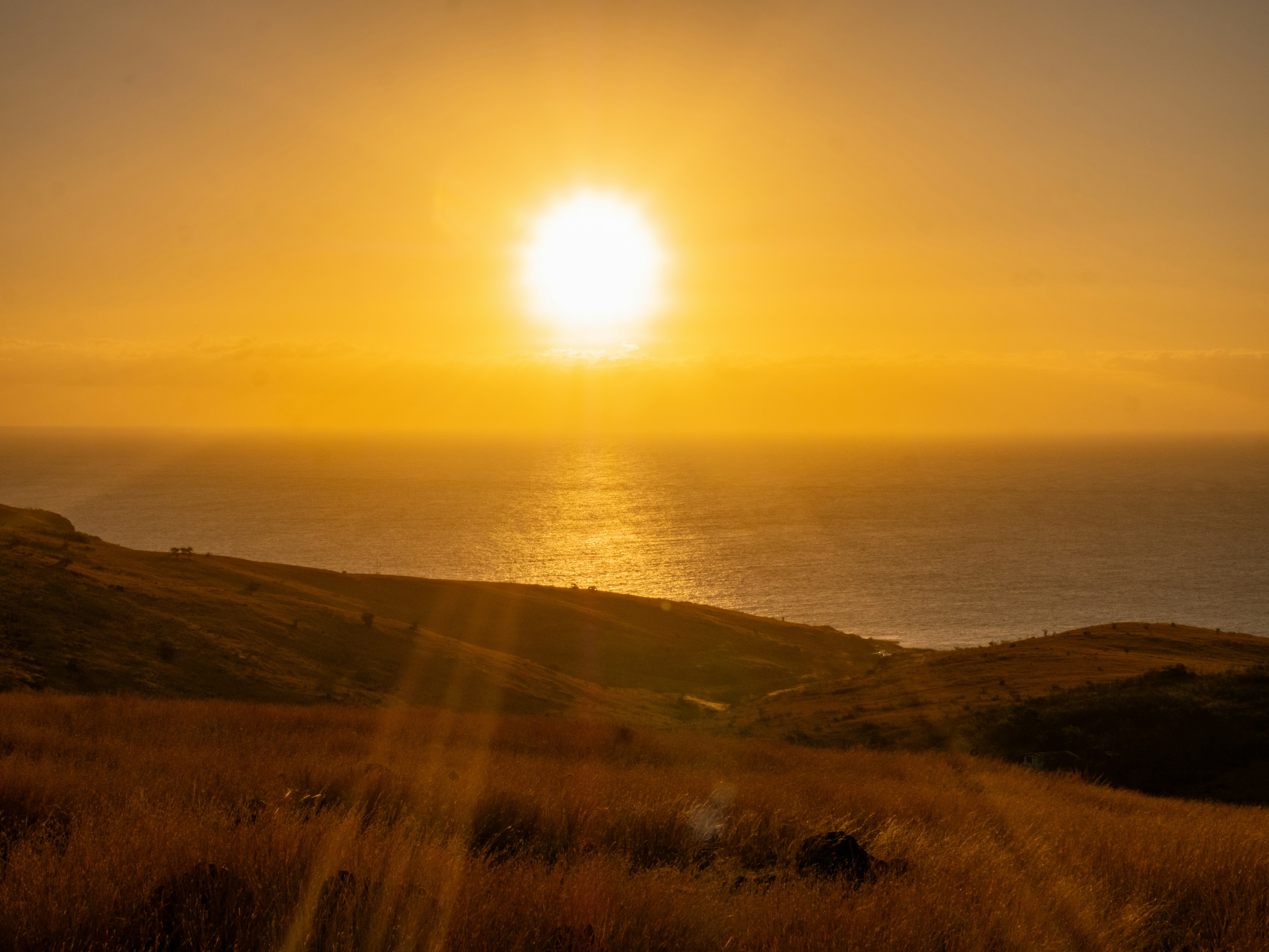 Golden Horizon: Sunlit Hills Over Quiet Seas
