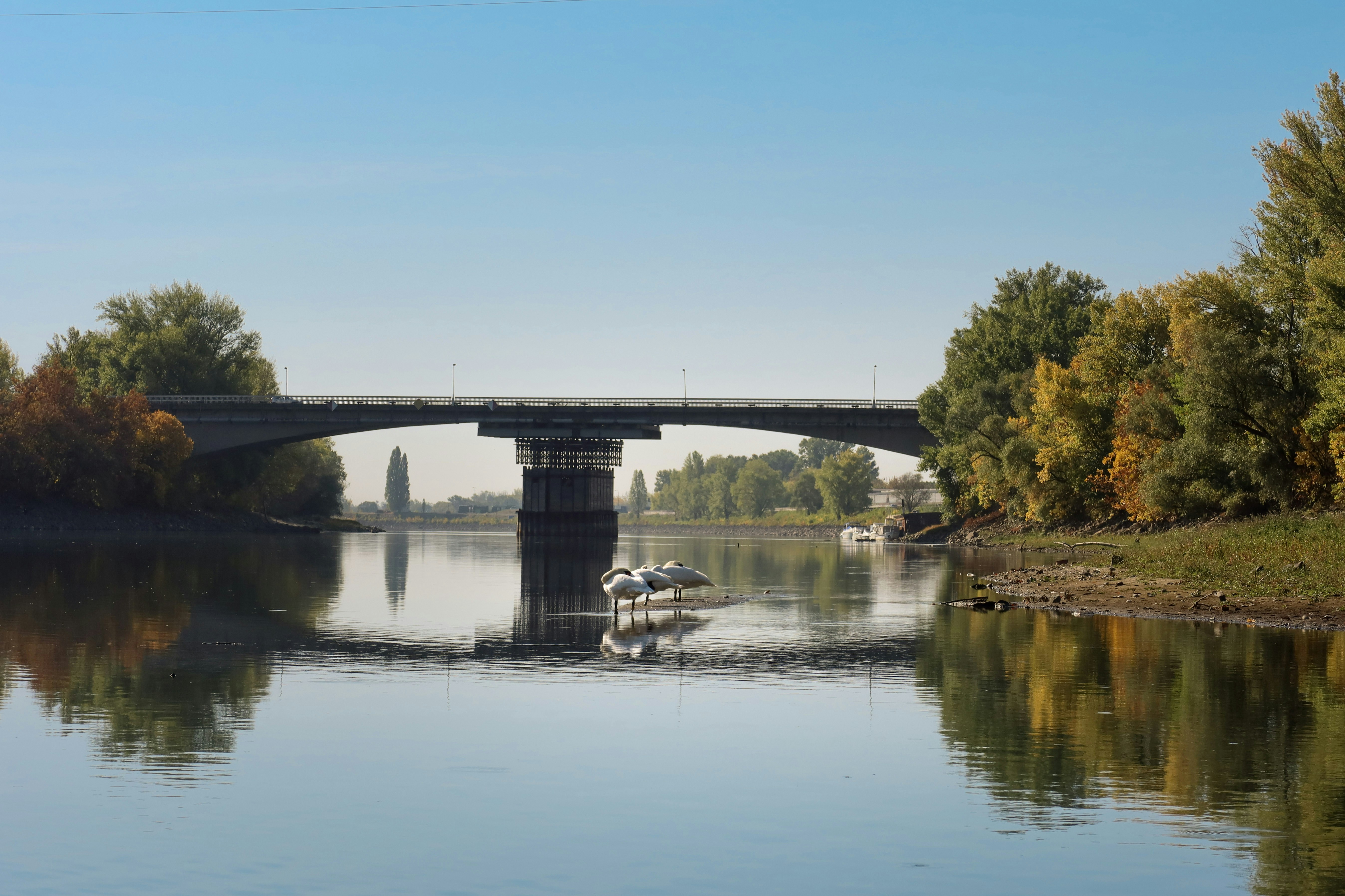 Bridge Over Mirror: Autumn River Idyll