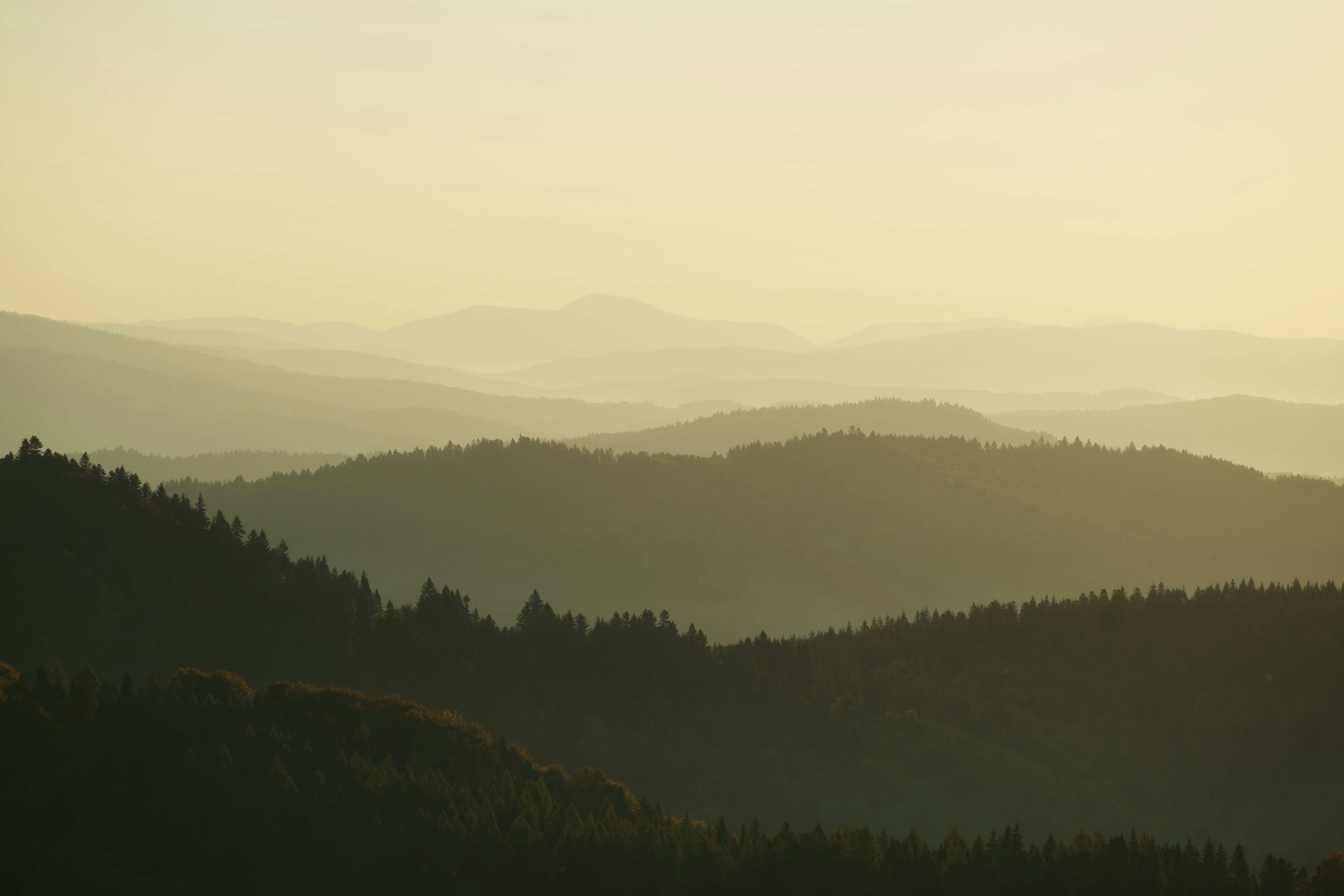 Hazy Ridgeline at Sunset: Layers of Mist Over Quiet Pines