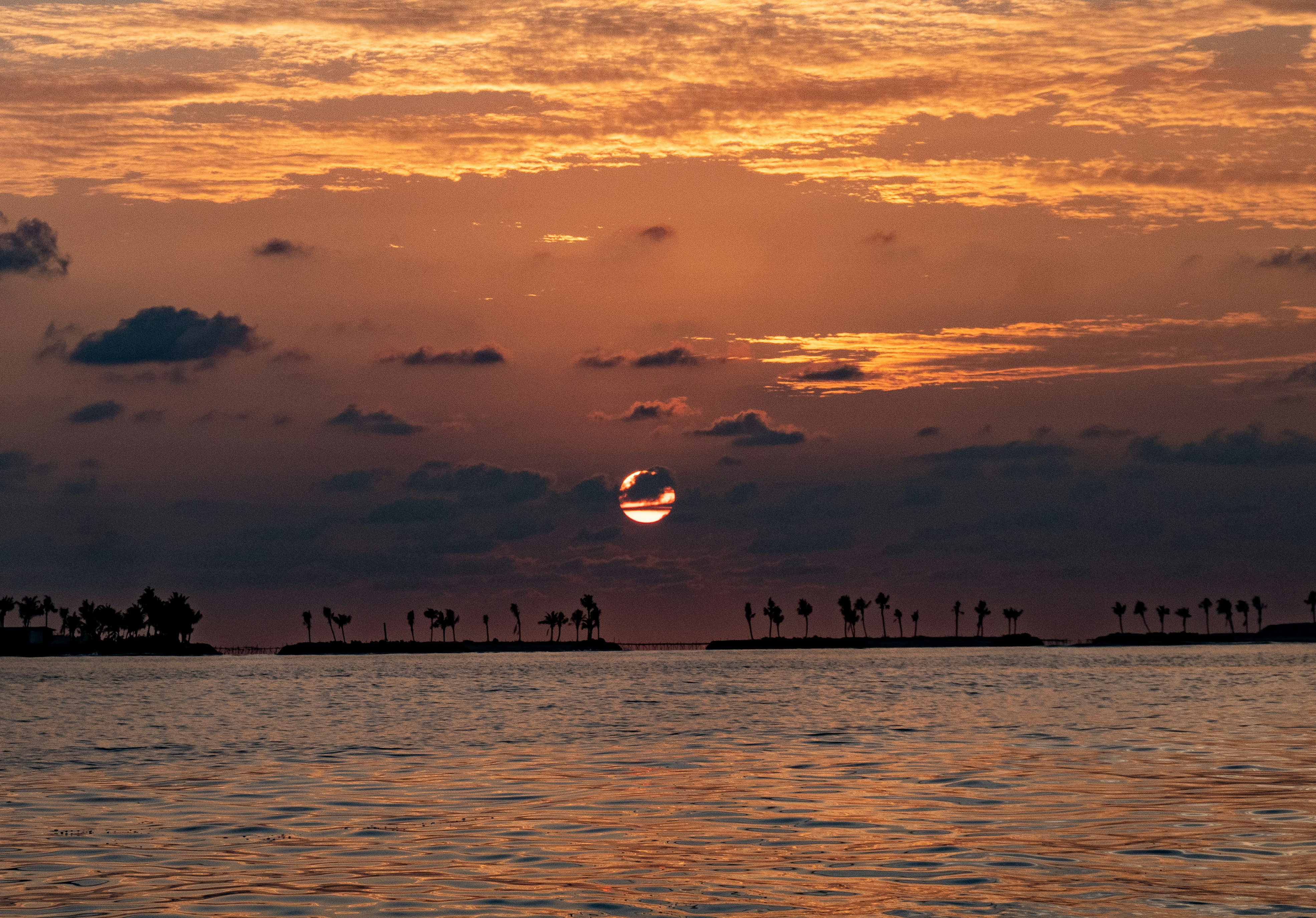 Sunset Rendezvous Over a Palm-Strewn Horizon
