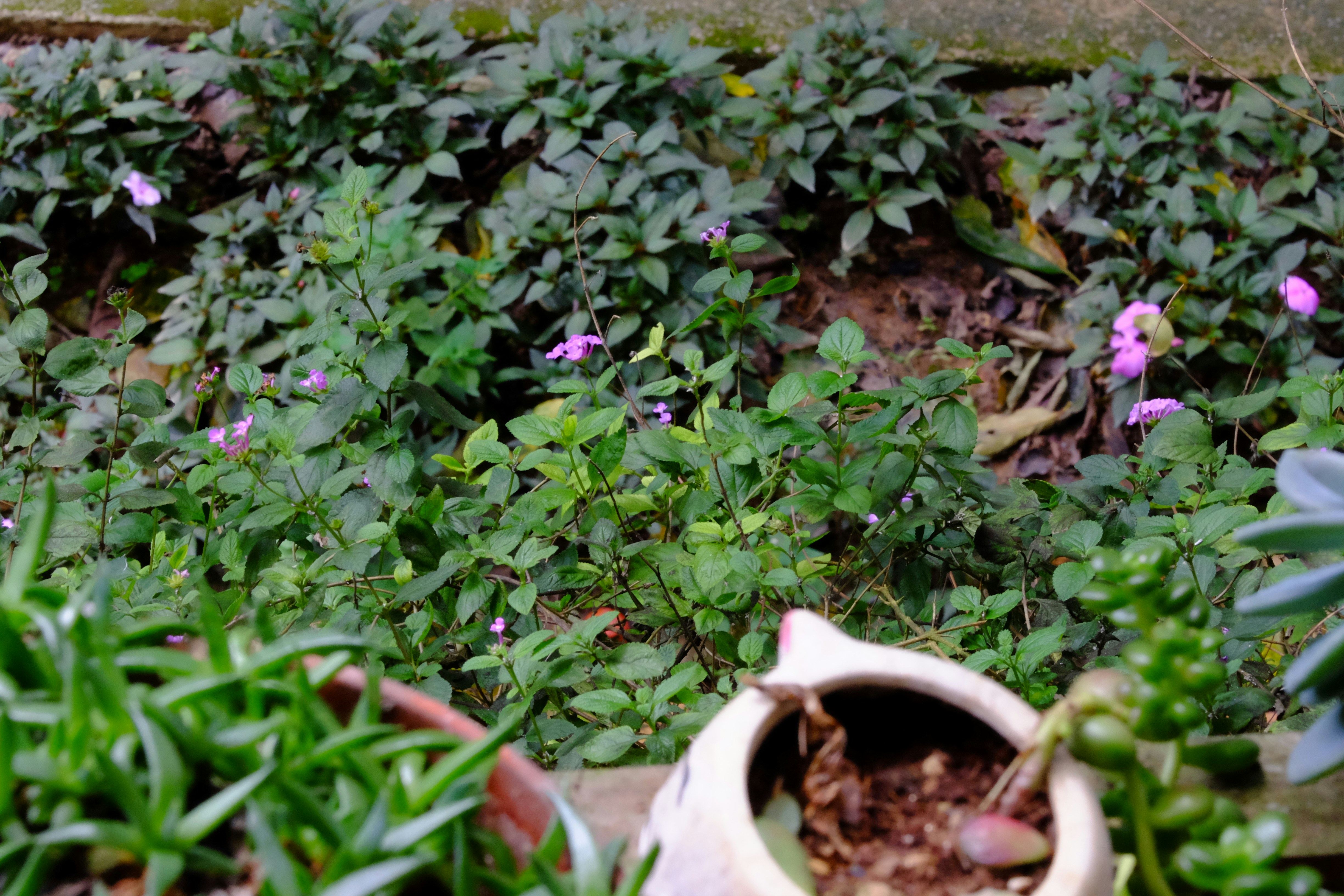 Emerald Bedscape with Fragmented pottery Vessel