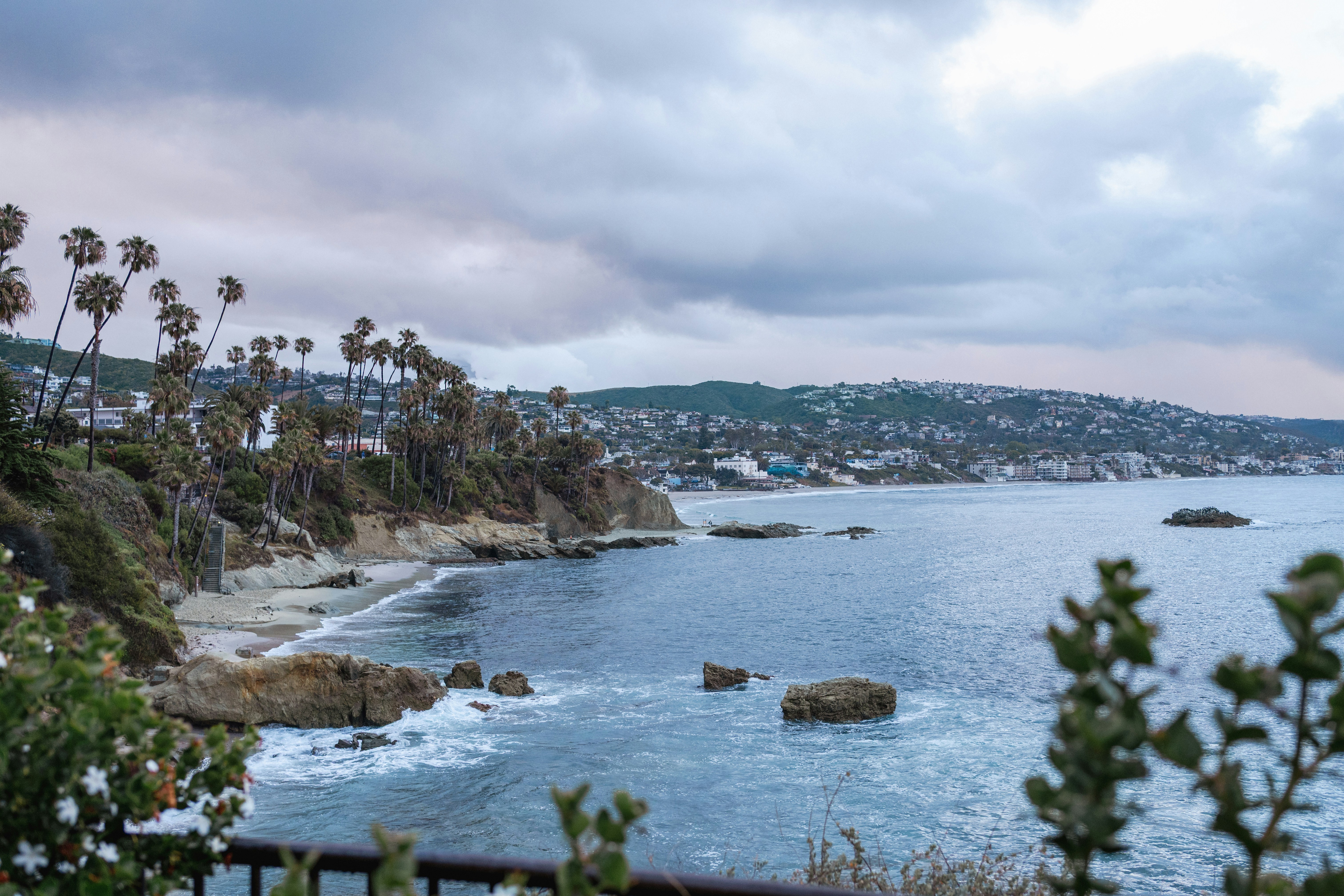 Coastal Cliffs and Palm Dunes: A Quiet Seaside Vista