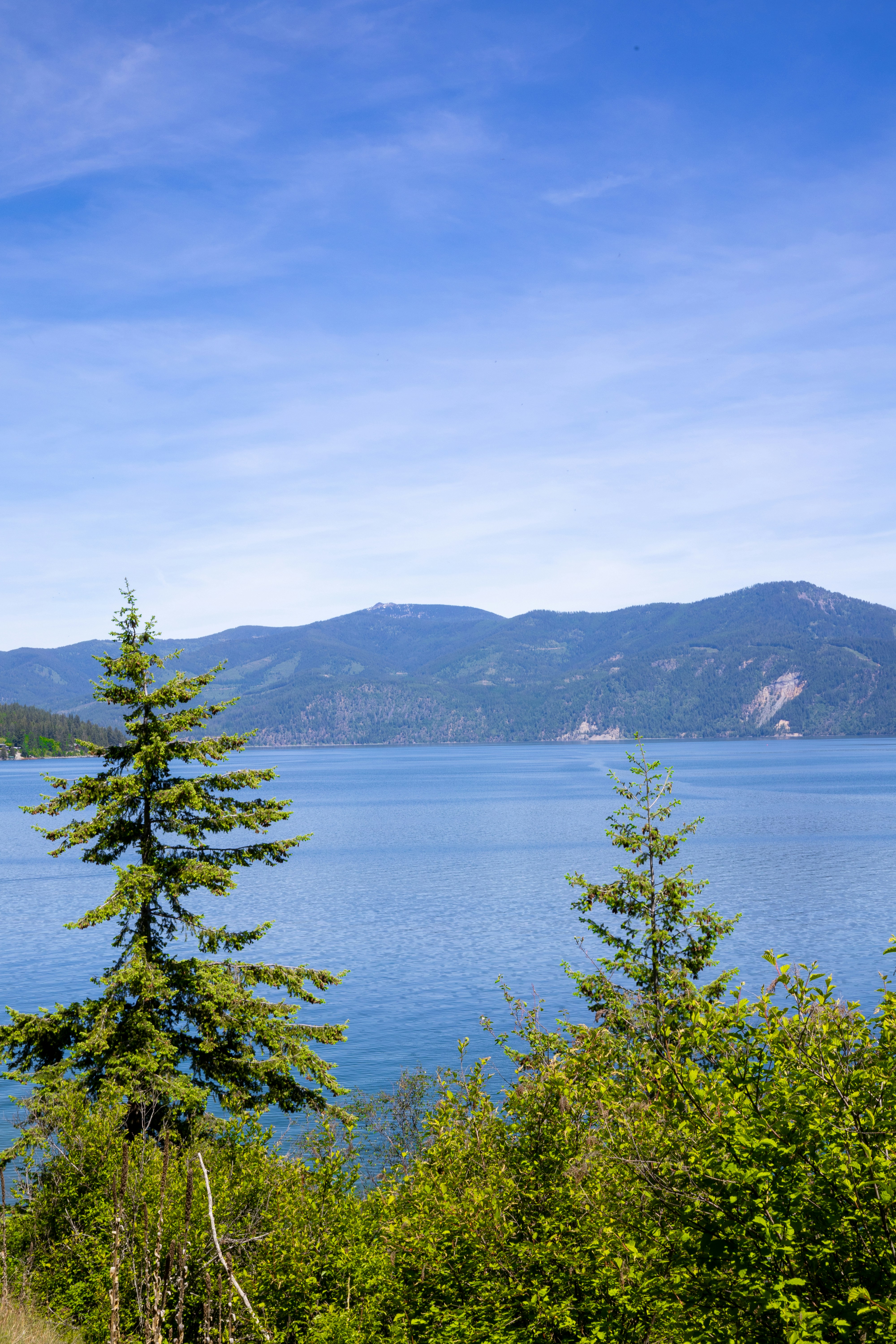 Azure Mirror: Lakefront Peaks and Pine Foreground