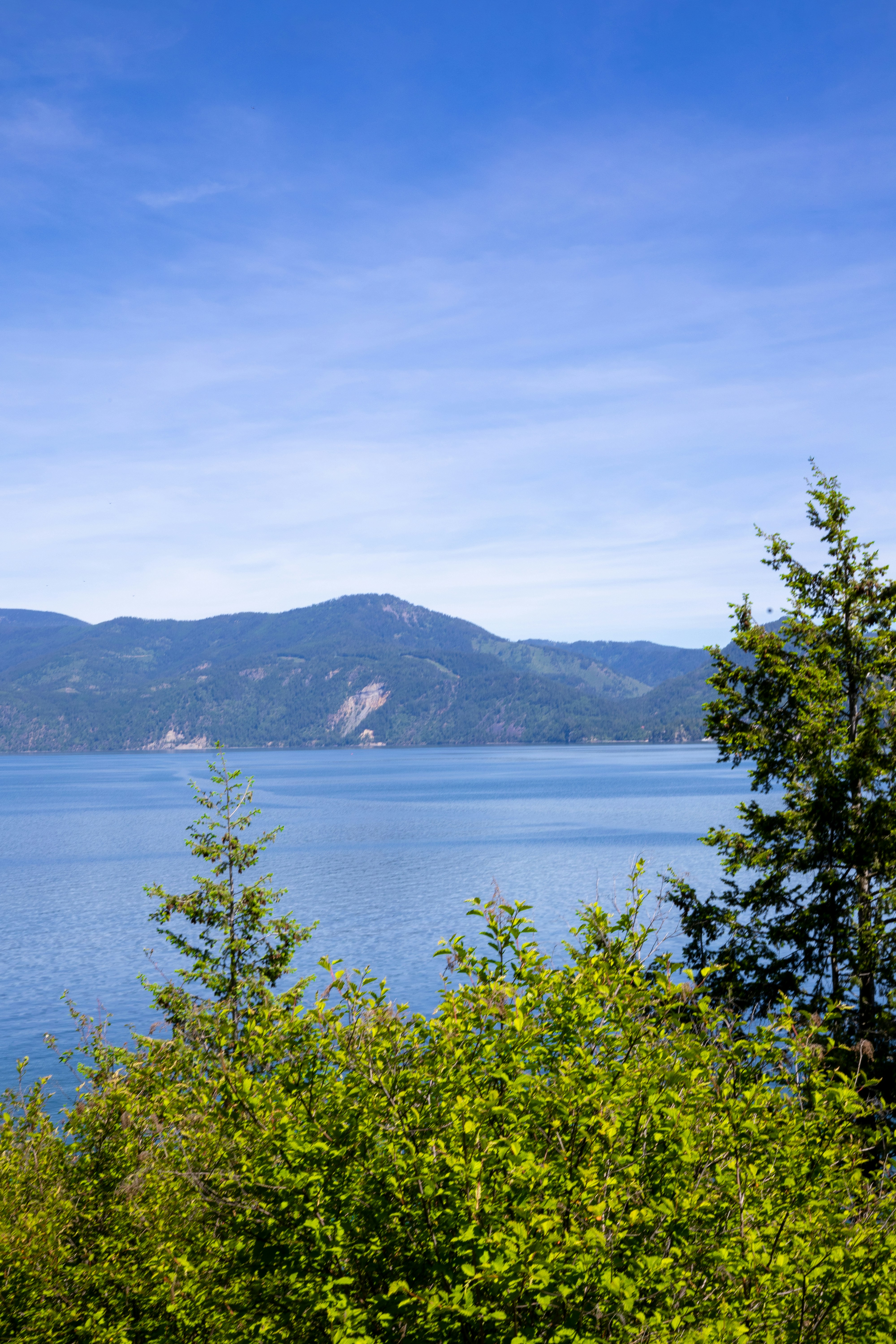 Lakeside Ridge: Alpine Crest Framed by Greenery