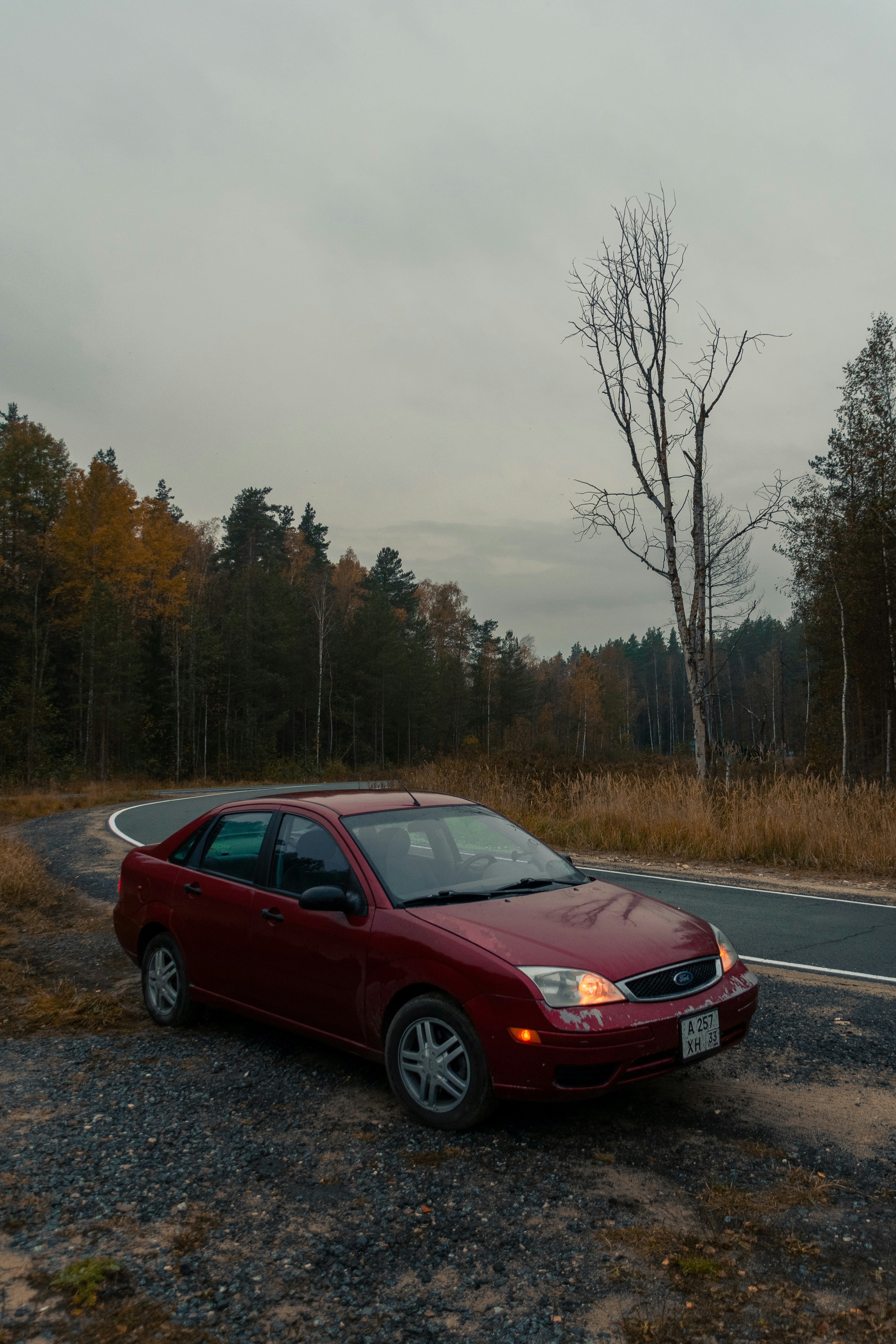 Red sedan on a winding autumn road beneath a bare tree