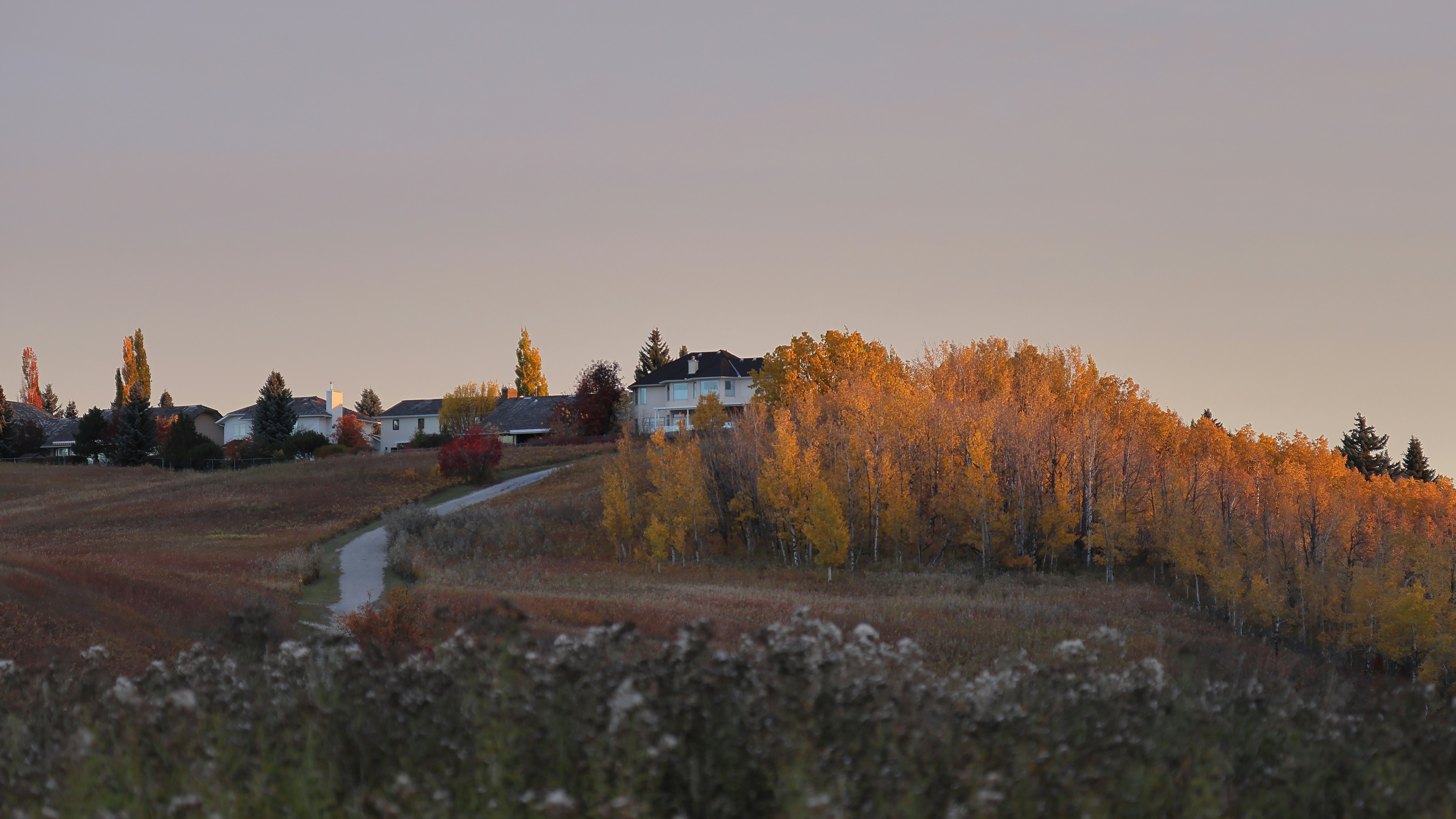 Autumn Light on the Hill: A Quiet Village Below Golden Trees