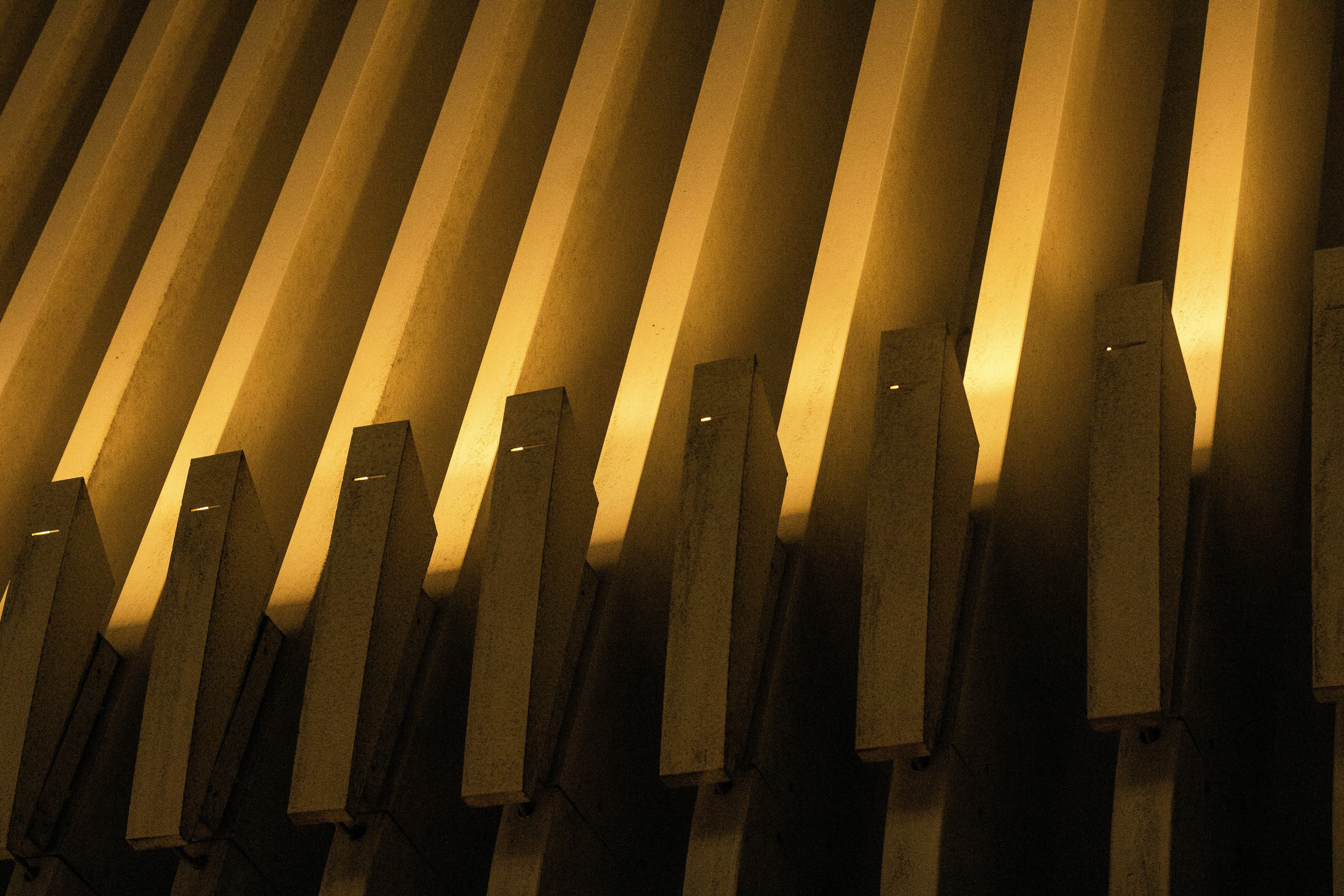 Golden Ribs: An Abstract Play of Light on Vertical Struts
