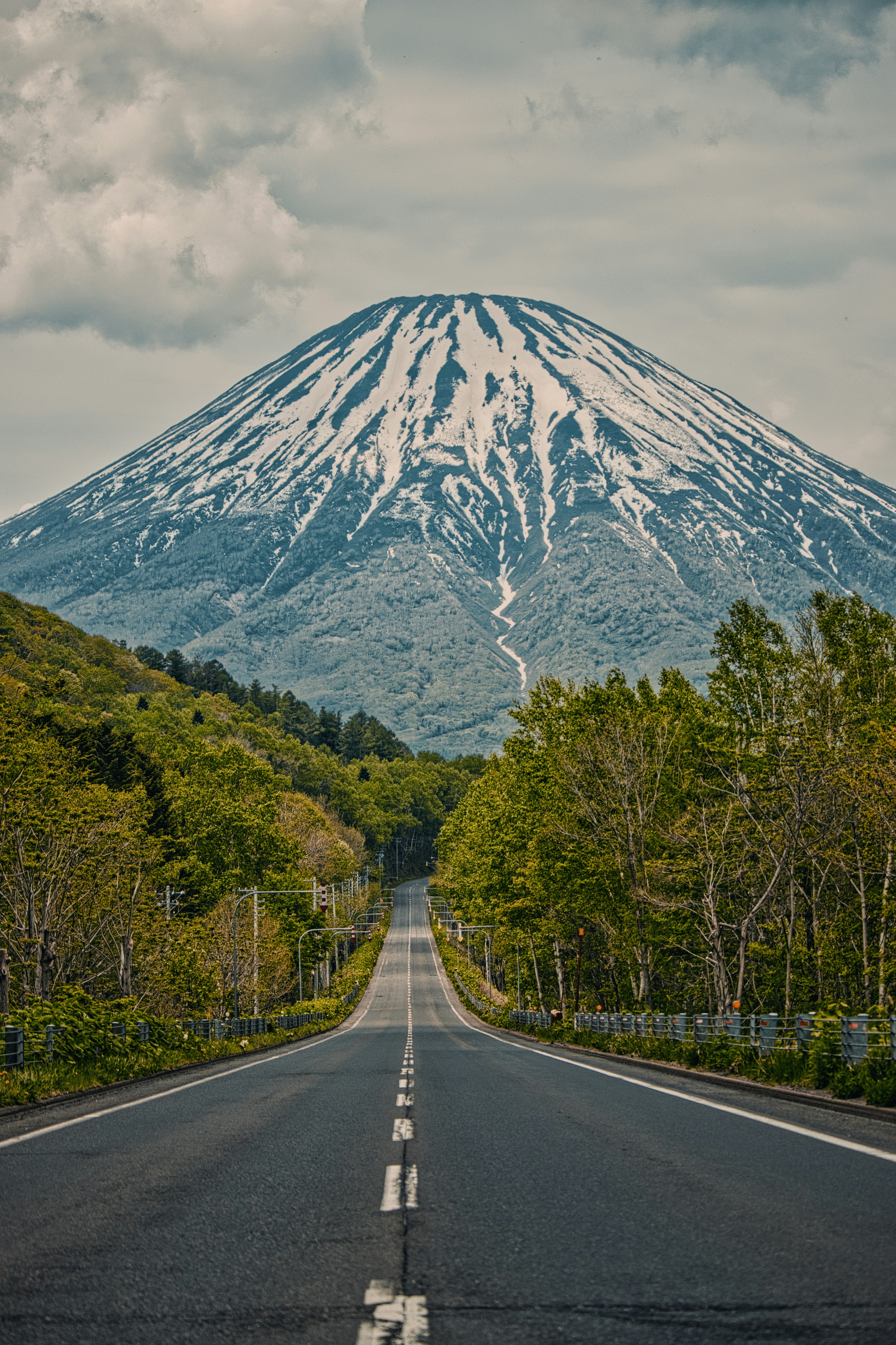 Snow-veiled Puyehue Peak: A Lone Highway Through Verdant Pines