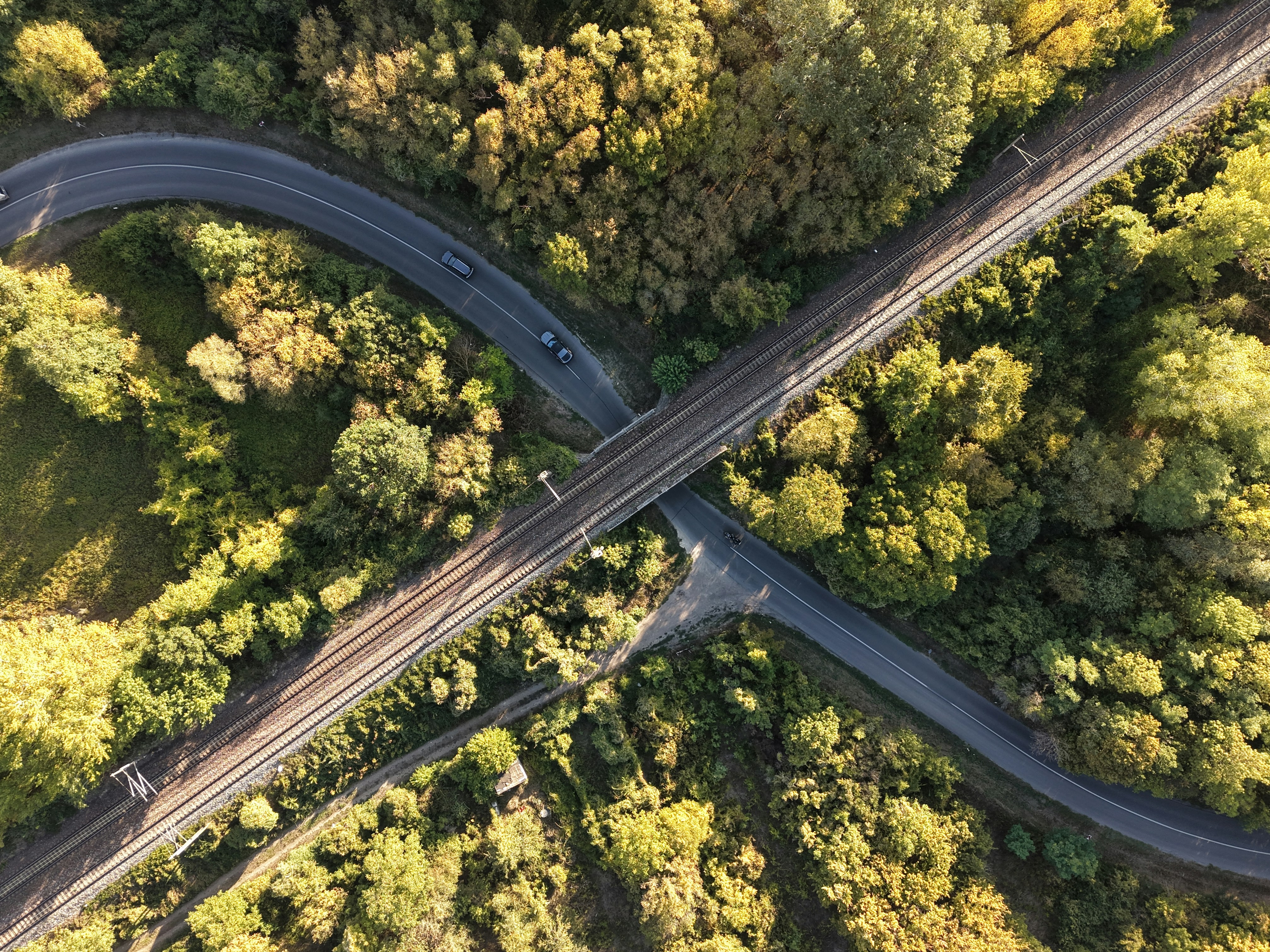 Curving Railway Ribbon Through a Verdant Canopy