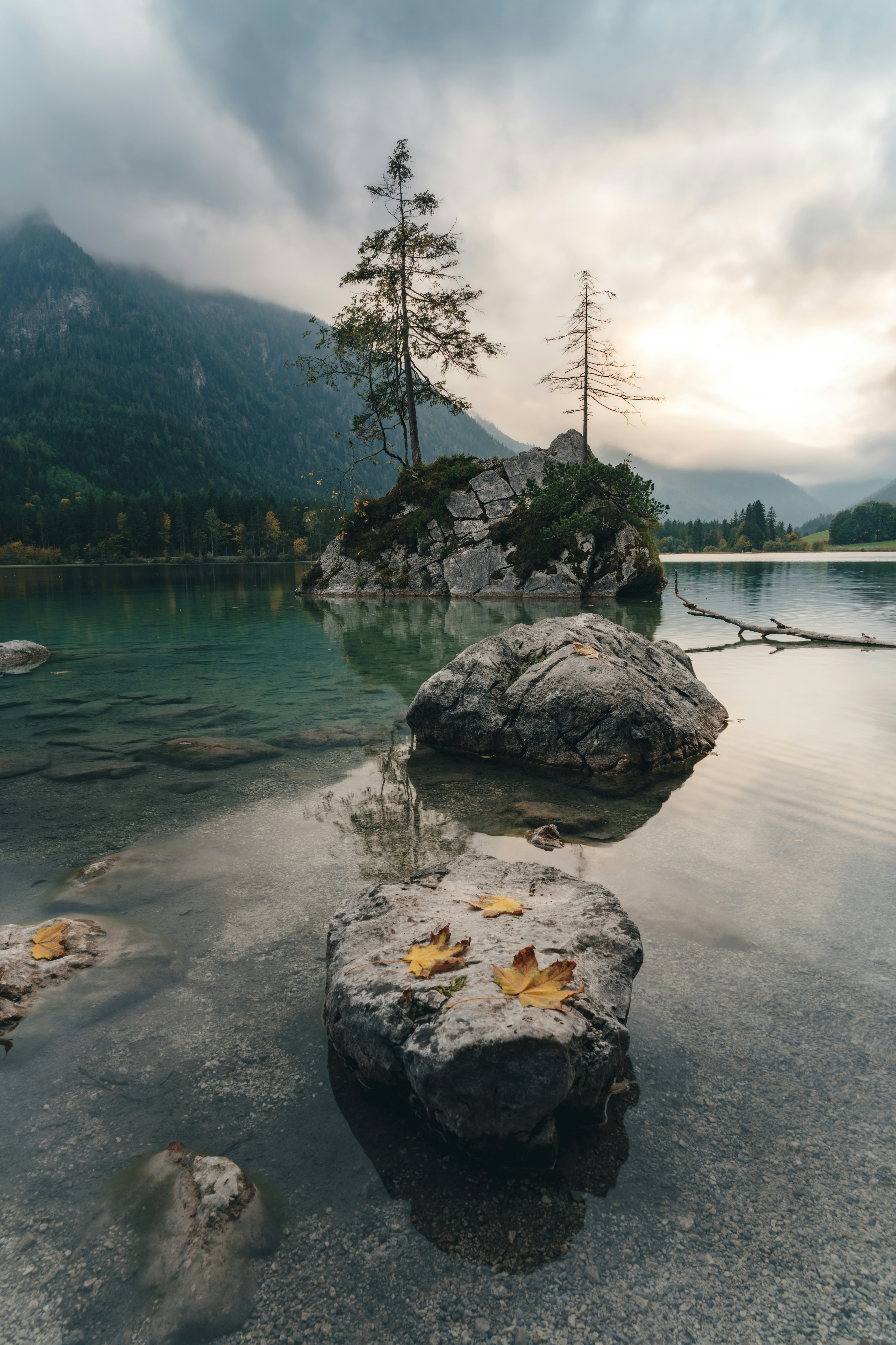 Isolated Anchor: Lone Trees on a Granite Isle