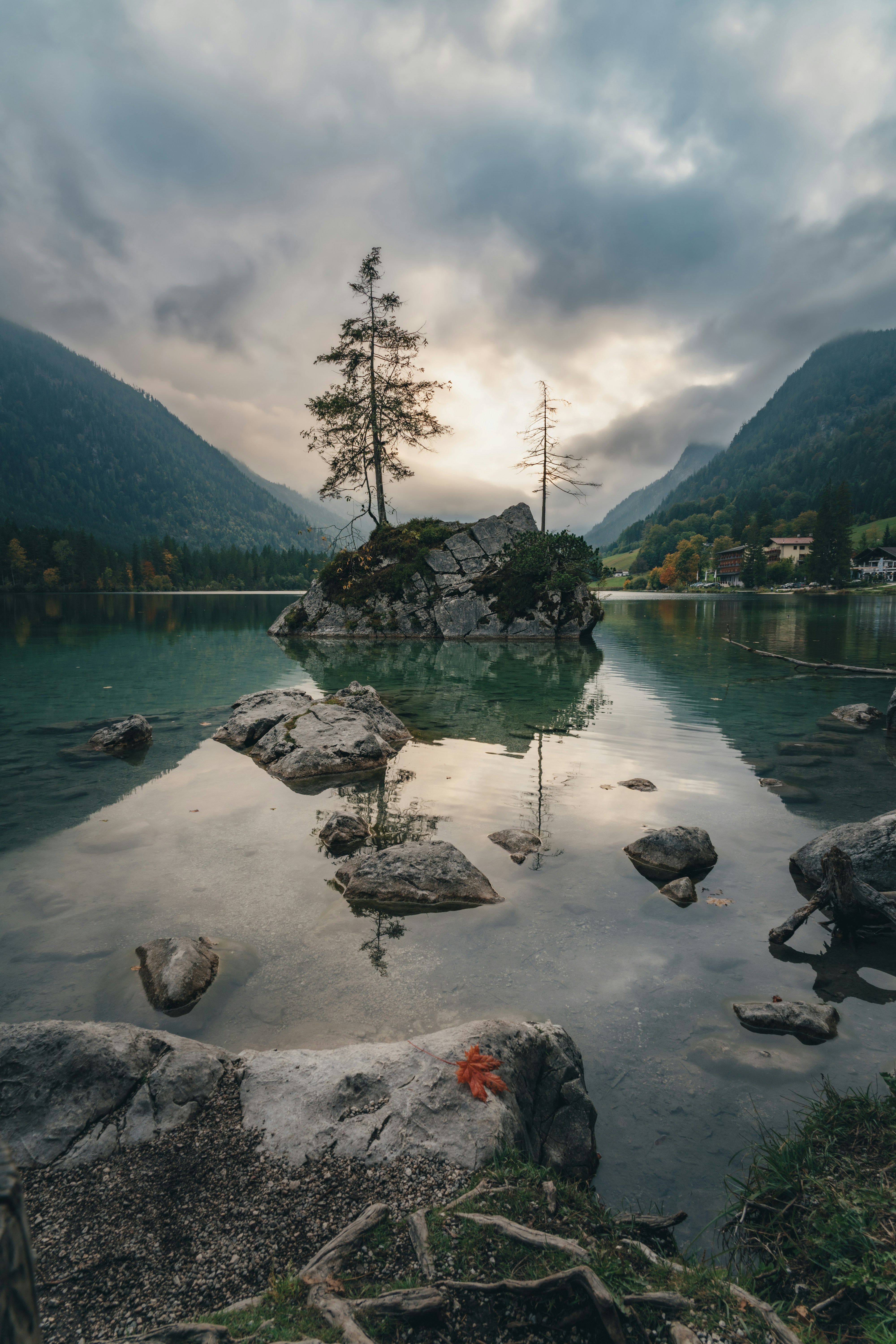 Rocky Island Sentinel: Trees Standing Over a Misty Alpine Lake