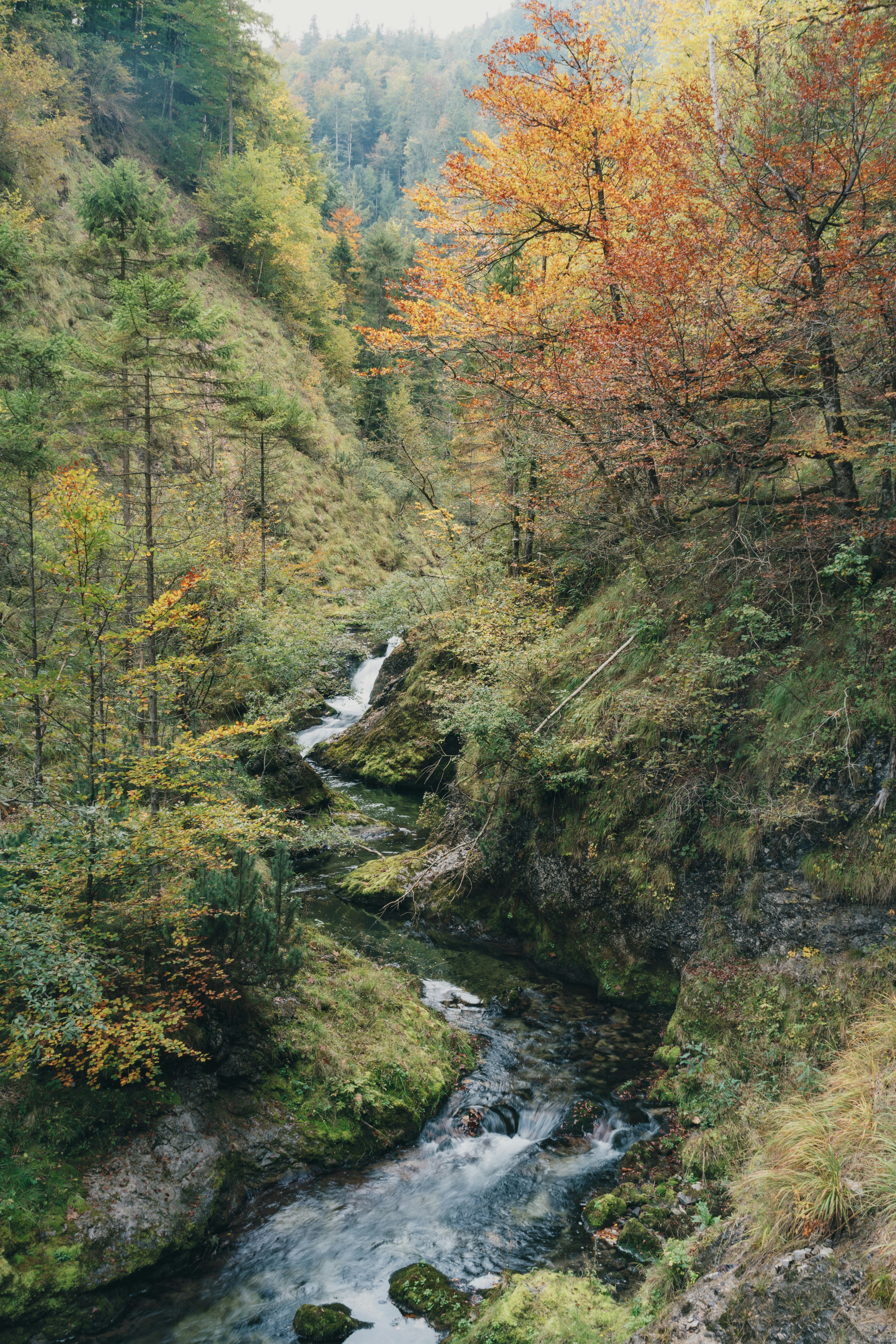 Autumn Cascade: A Narrow Gorge Winding Through Fall Colors
