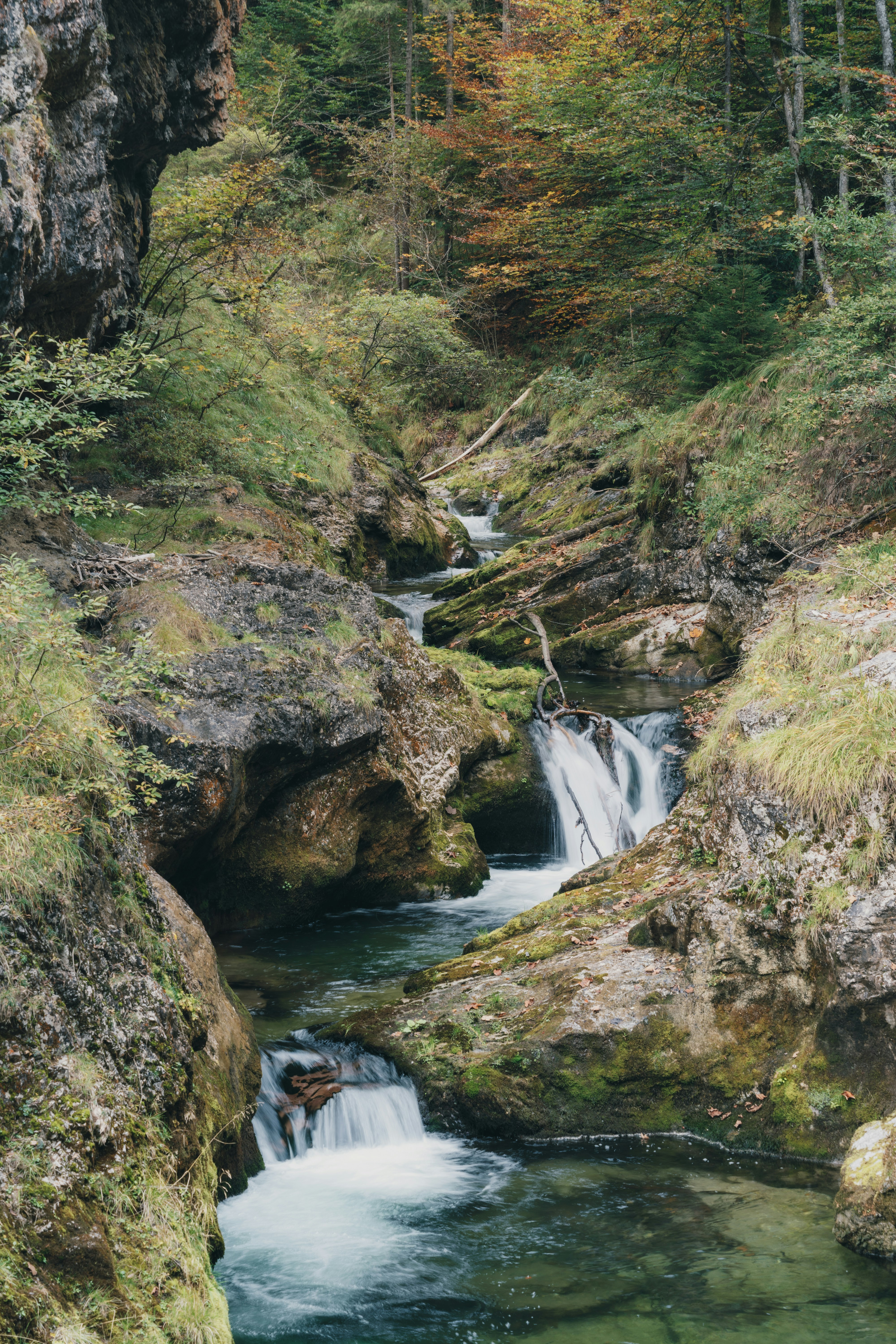 Hidden Cascade: Quiet Torrent Winding Through Mossy Stones