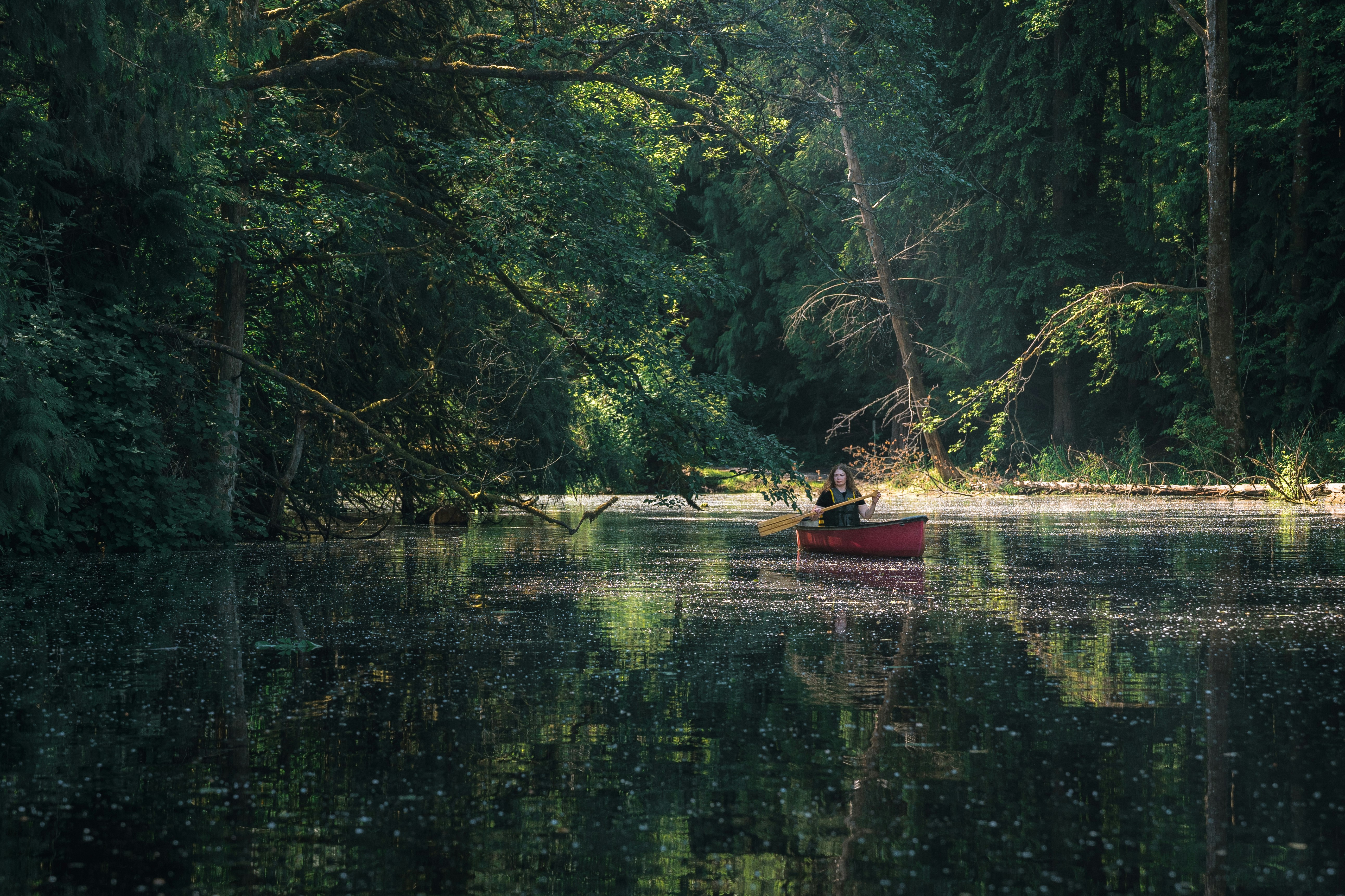 Silent Canoe on a Velvet Lake