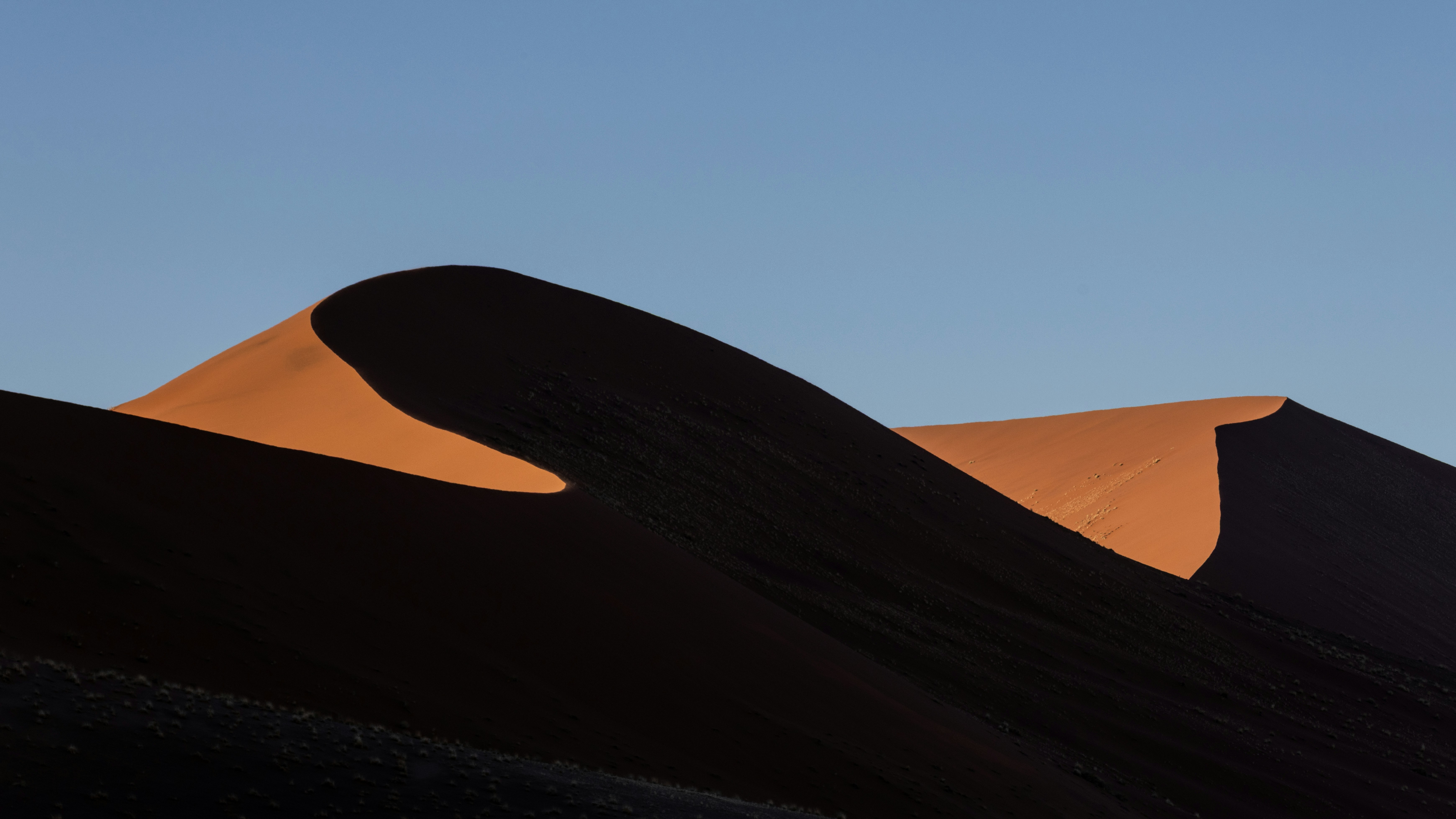 Sunlit Crest: A Quiet Shadow Over Red Dunes