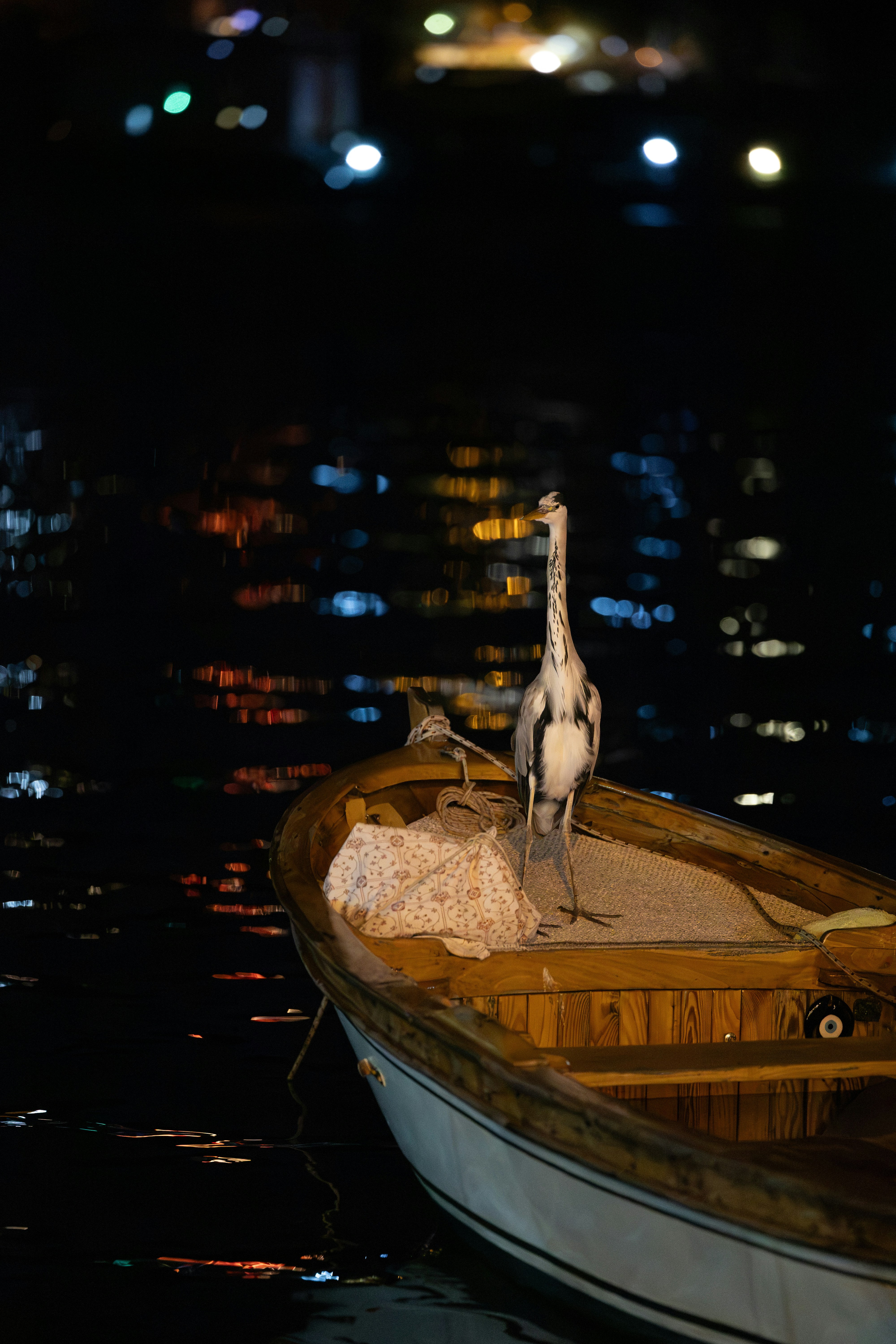 A grey heron standing on a wooden boat at night with bokeh city lights