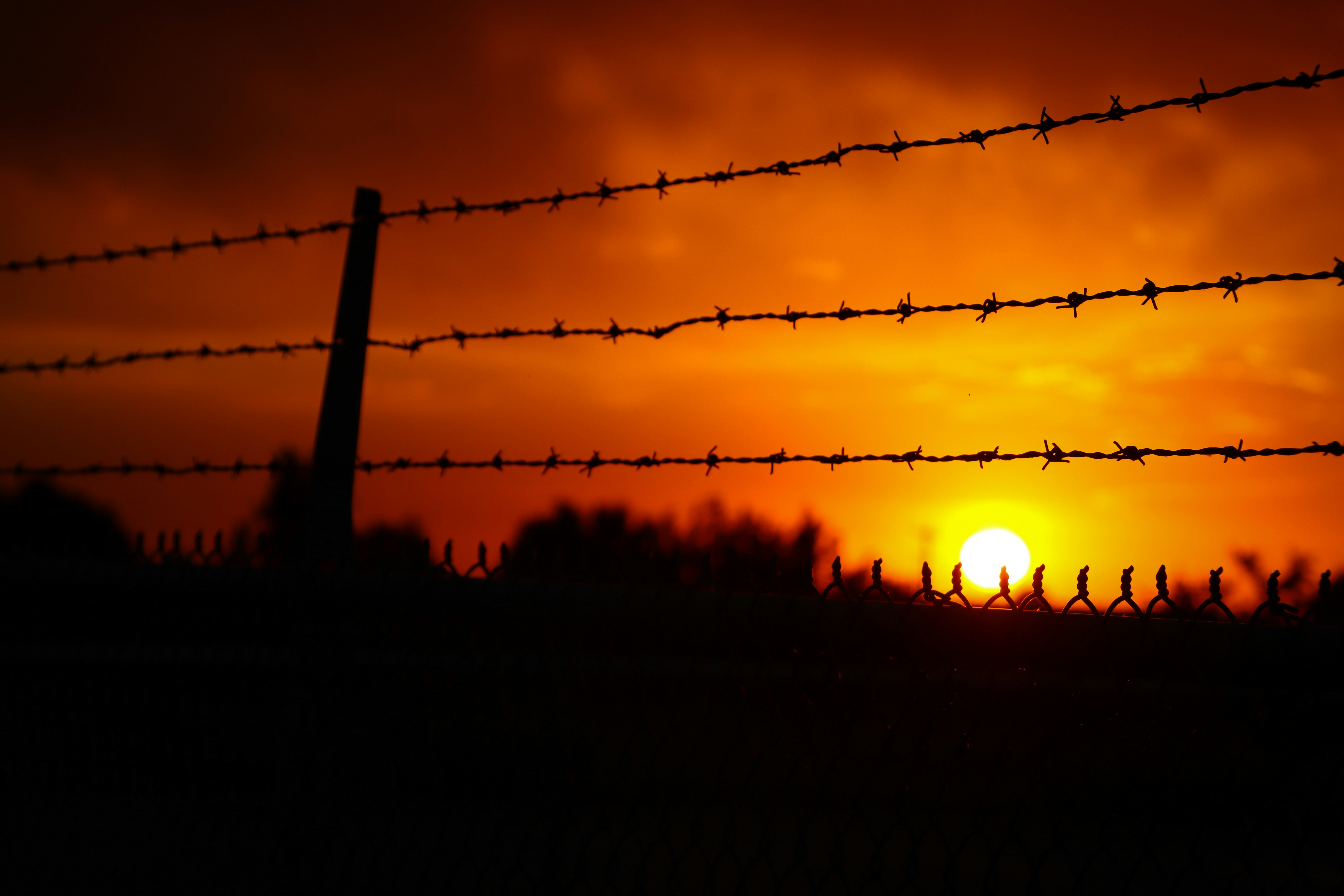 Sunset on the Wire: Firelit Horizon Beyond Barbs