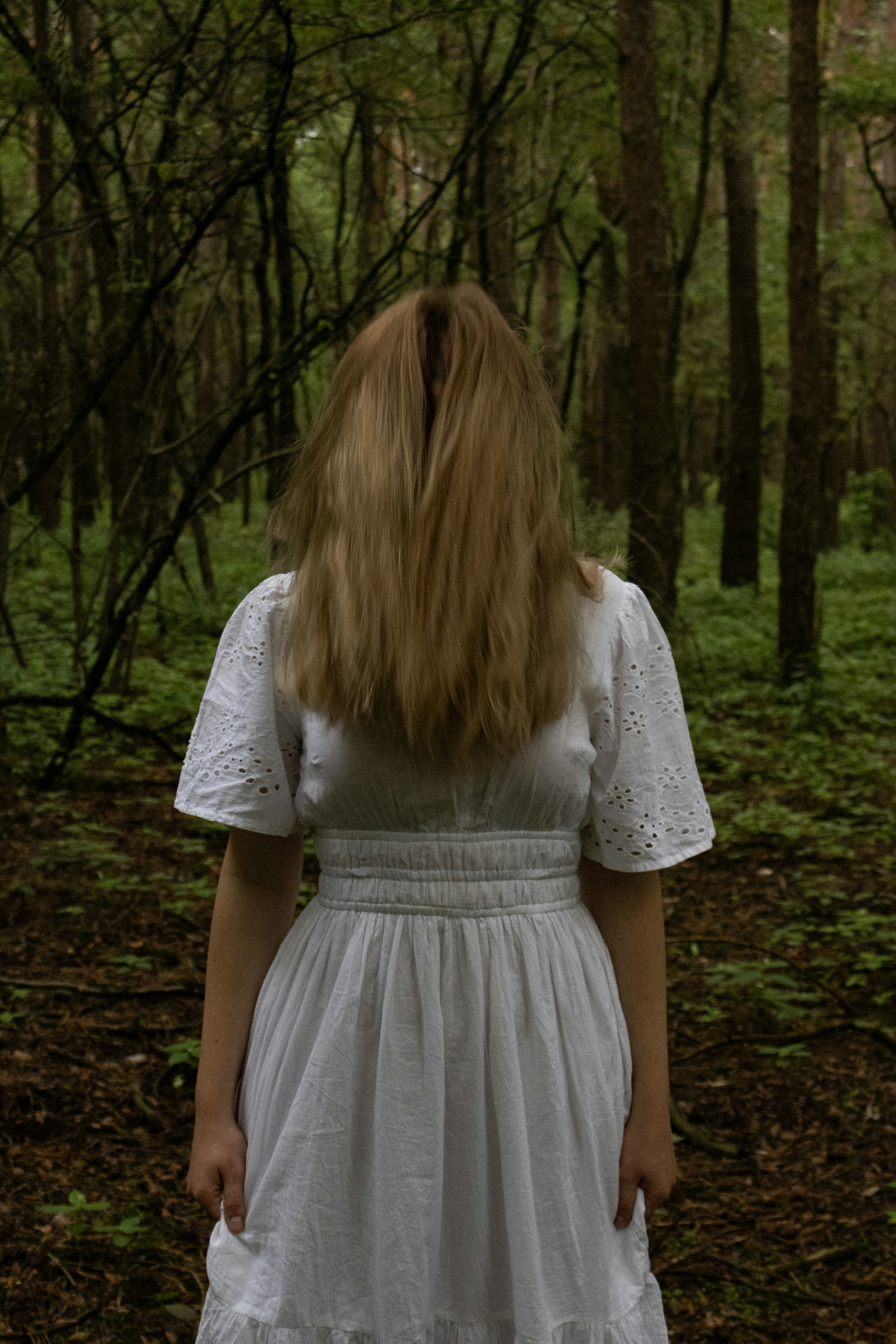 The White Dress in the Quiet Forest