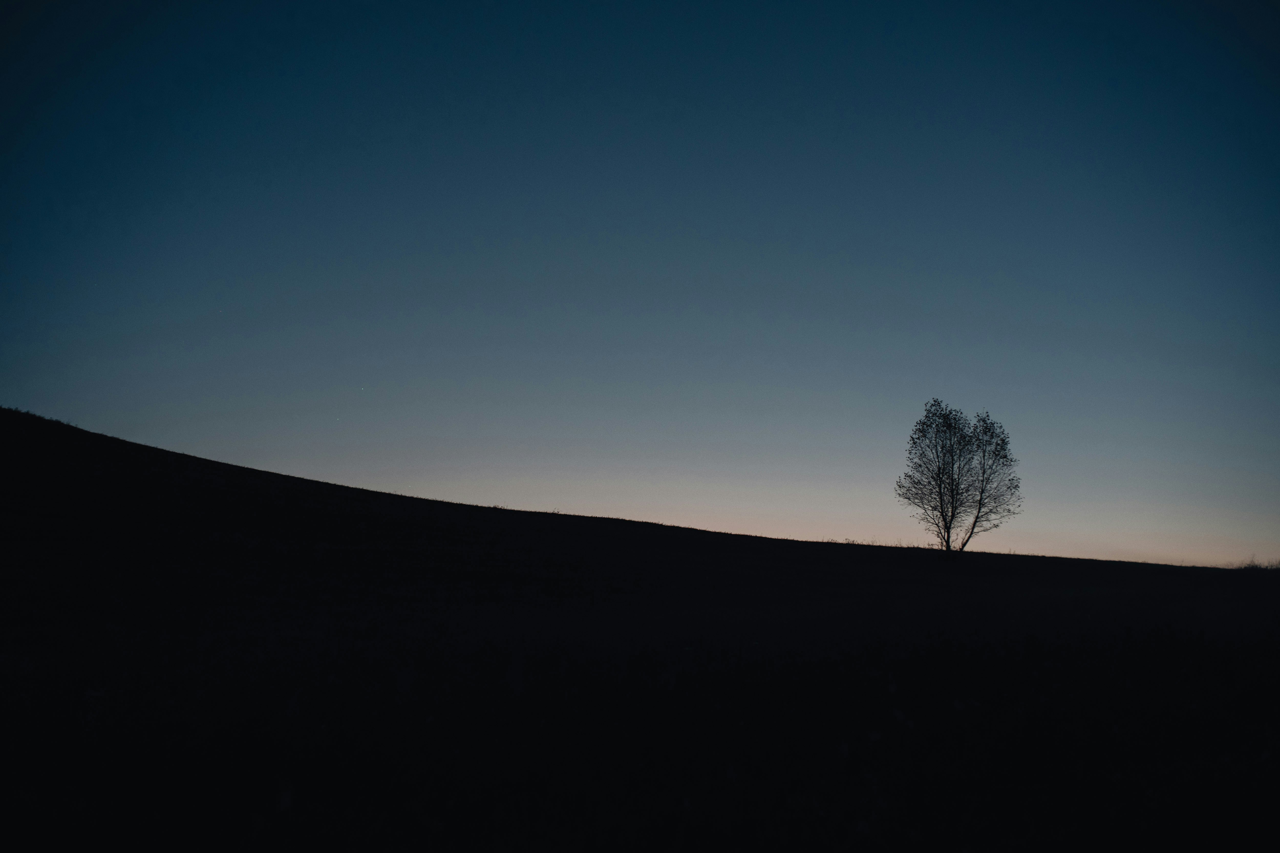  lone tree on a twilight hillside