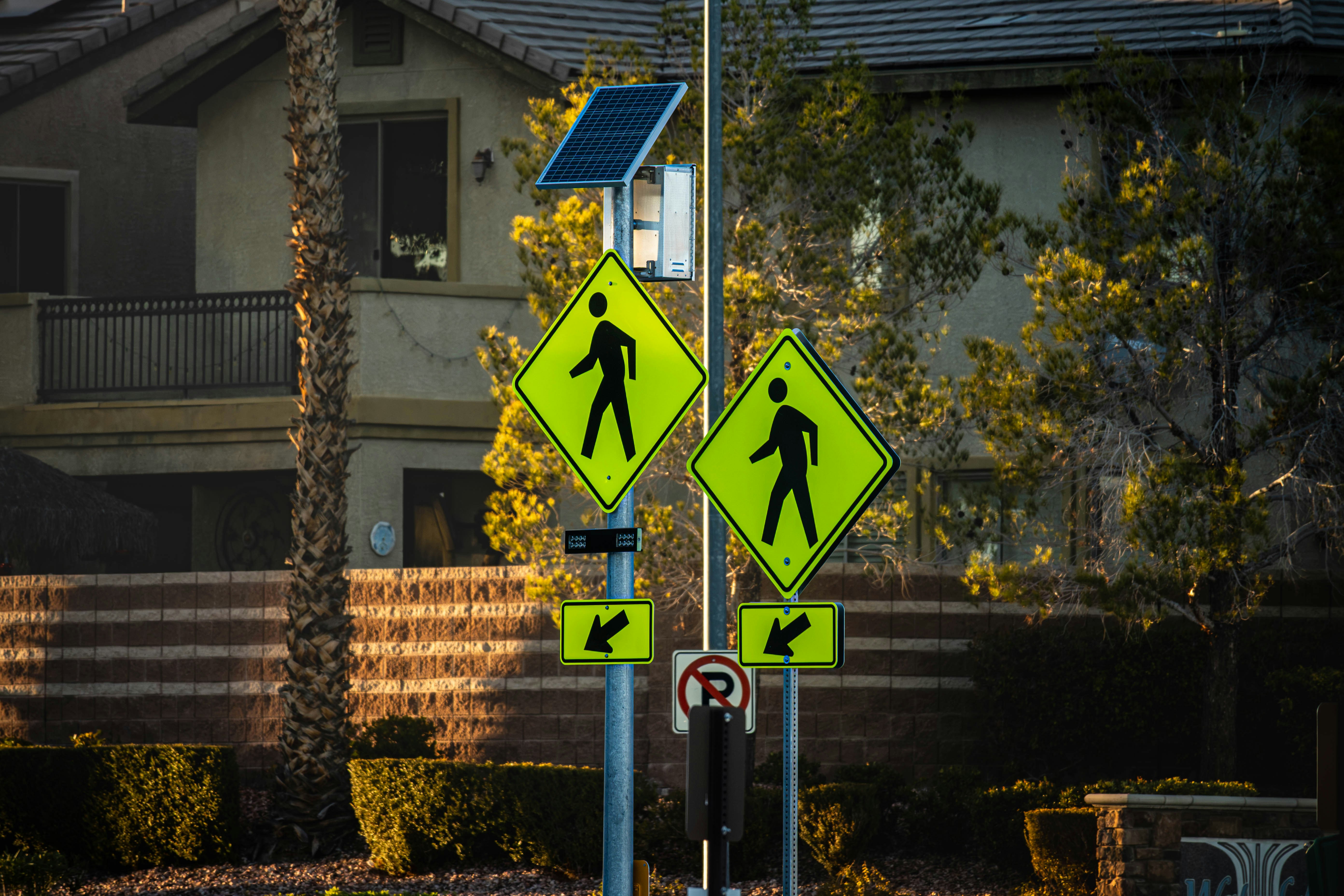 Sunlit Pedestrian Crossing Signs Against a Suburban Backdrop