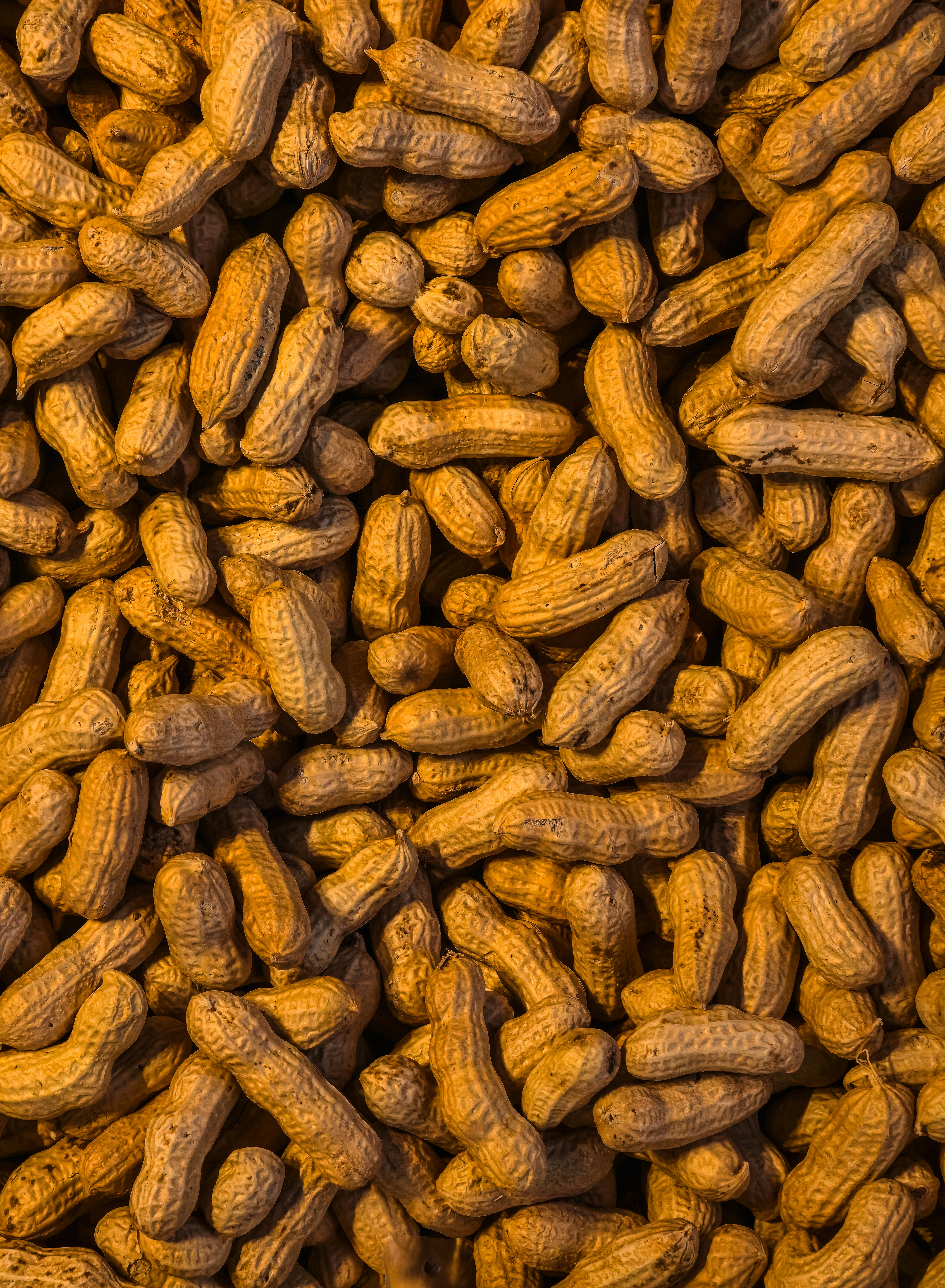 Golden Peanut Tide: A Close-Up of Shelled Peanuts