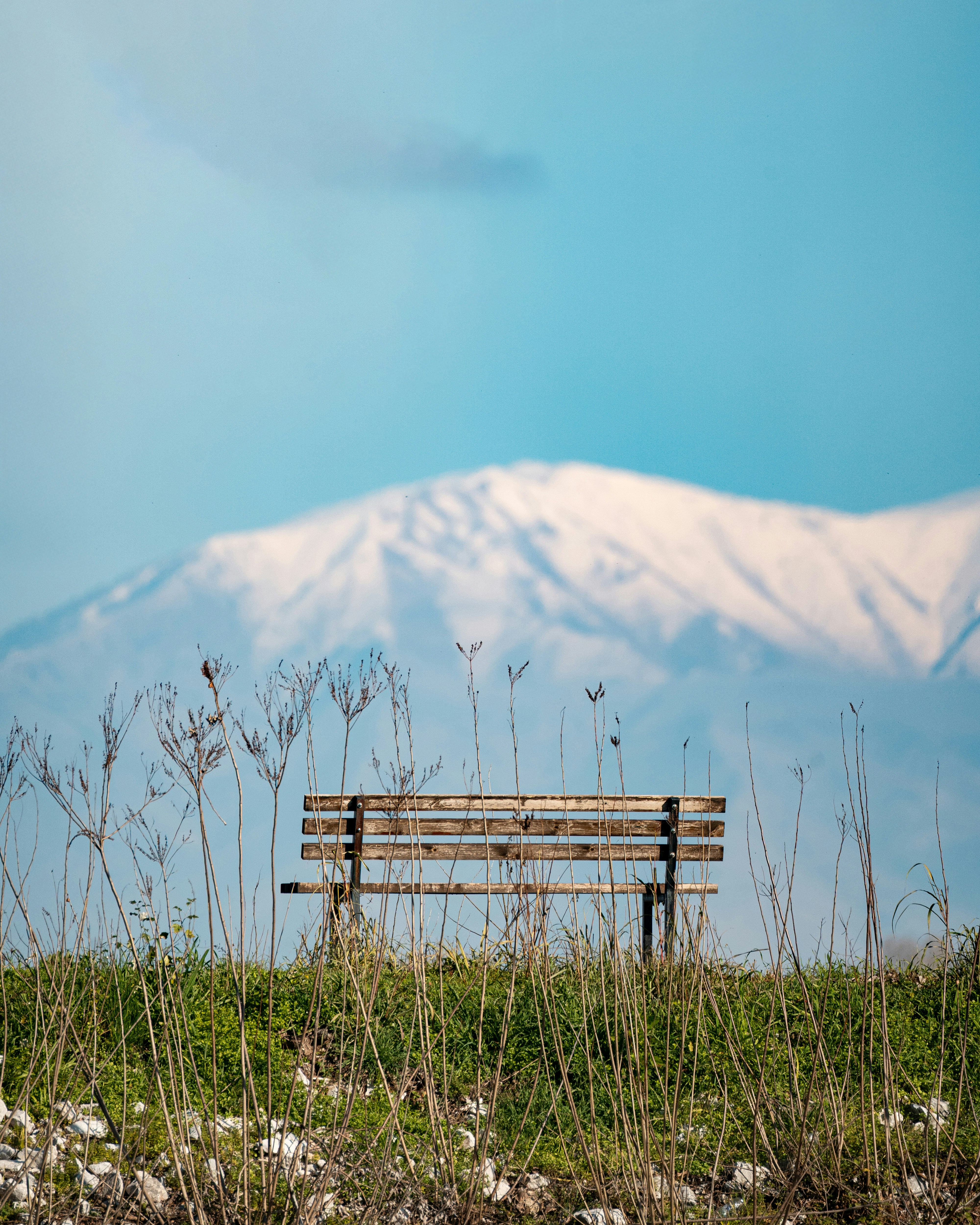 A wooden bench on a grassy hill before a snow-capped mountain