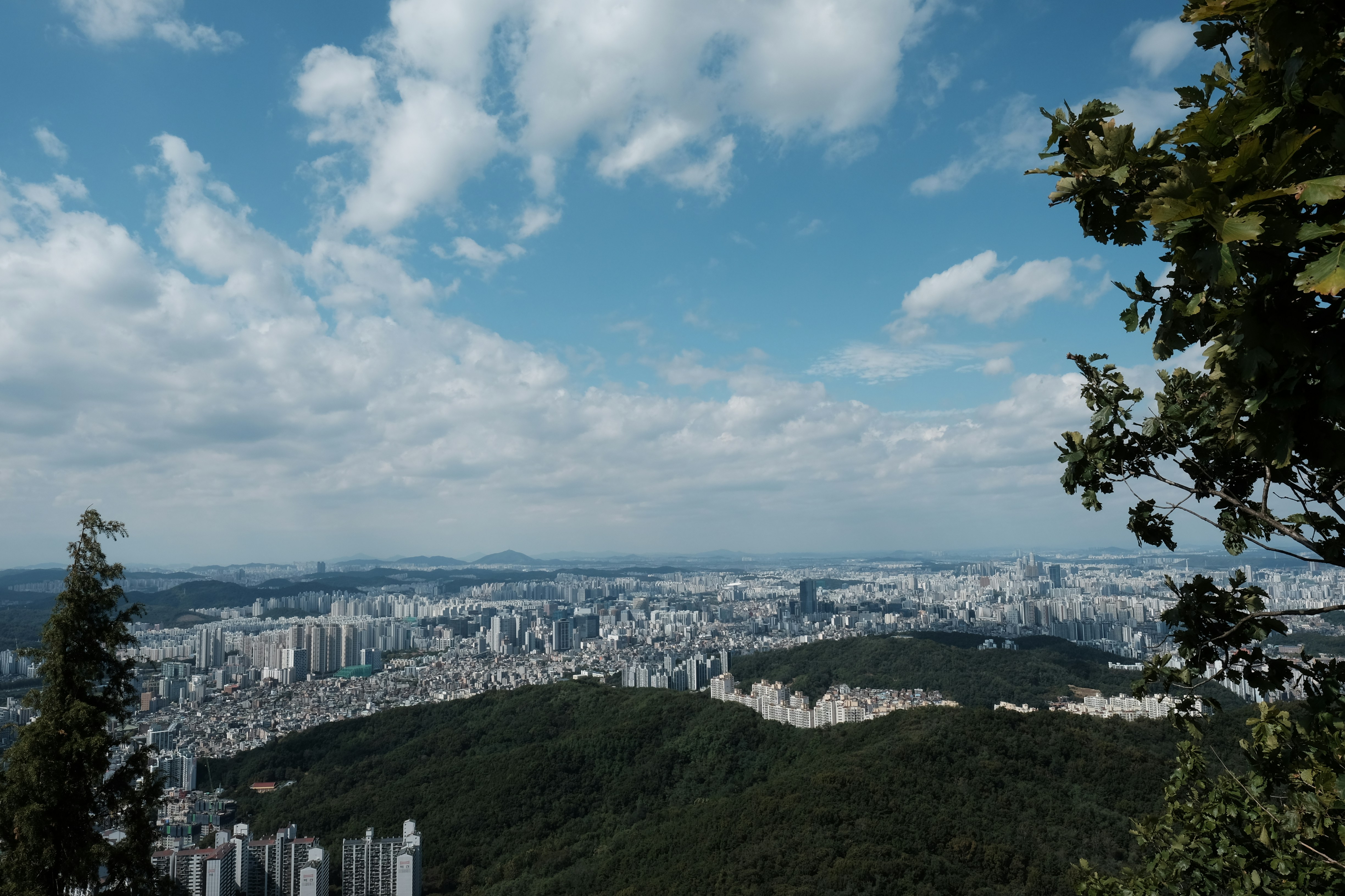 Urban Rift from the Hills: Cityscape Peering Through Green Veins