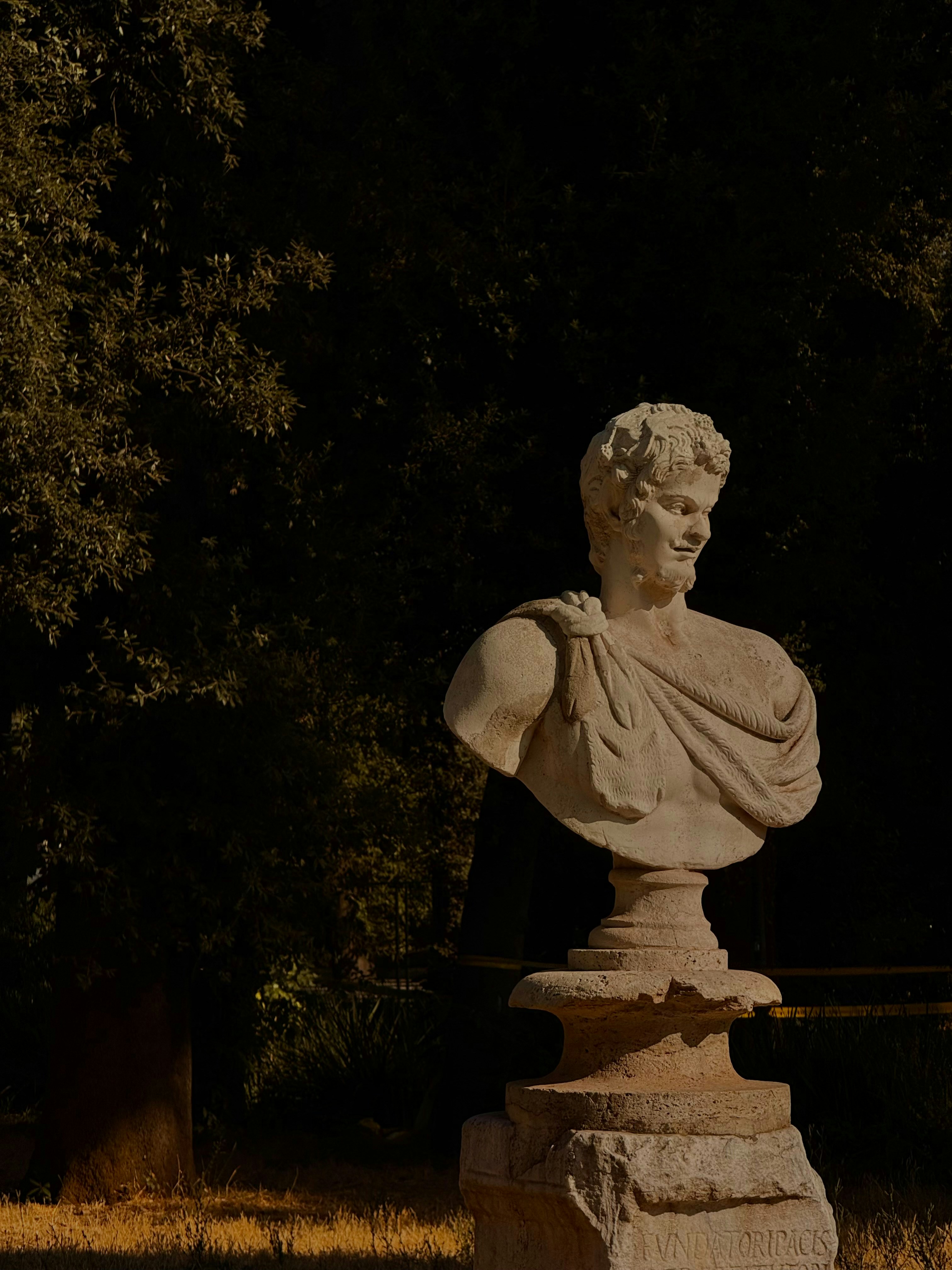 Moonlit Muse: a classical bust under shadowed trees