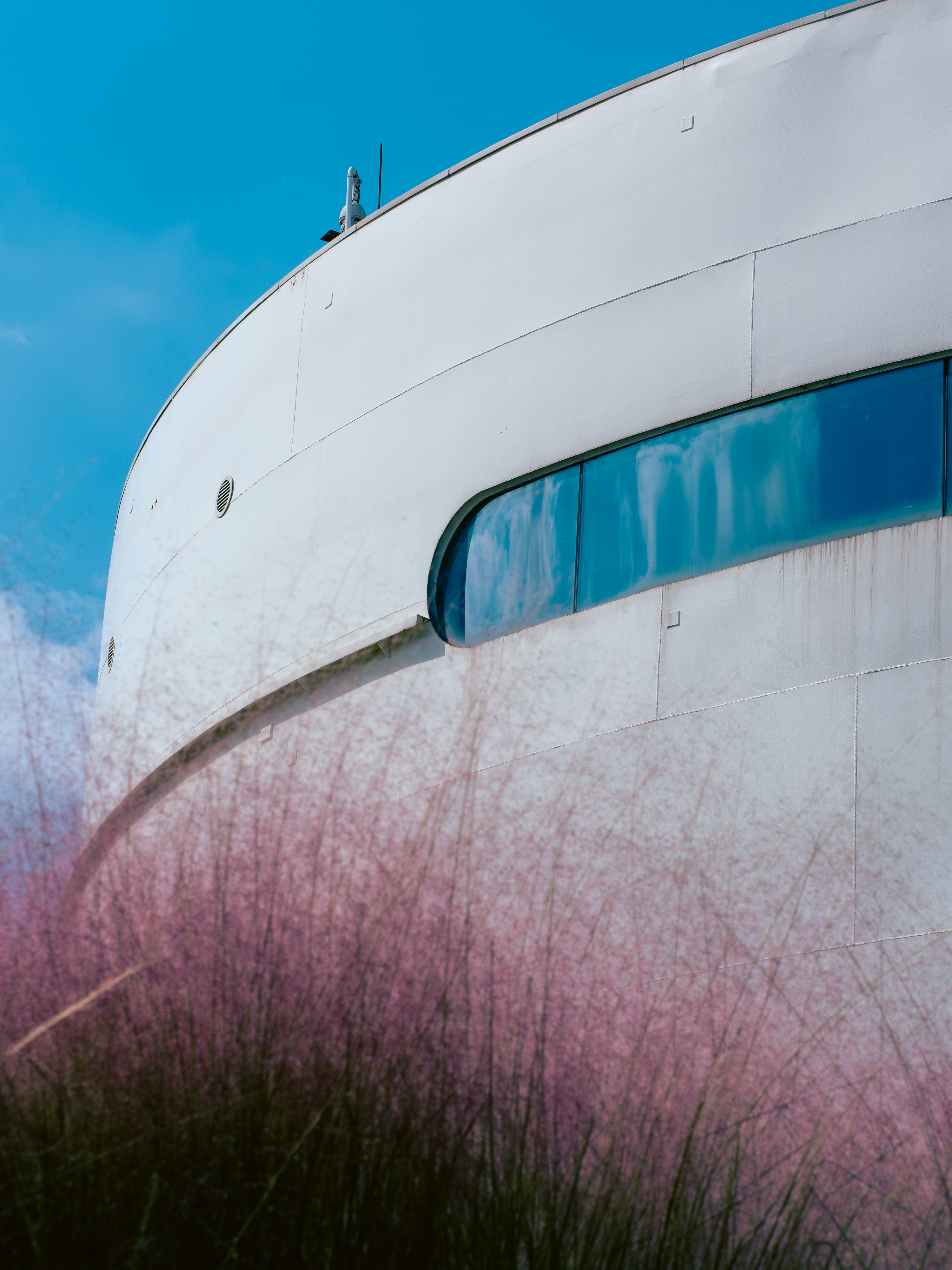 Curved Concrete Veil: A Modern Facade Amid Purple Dusk Grass