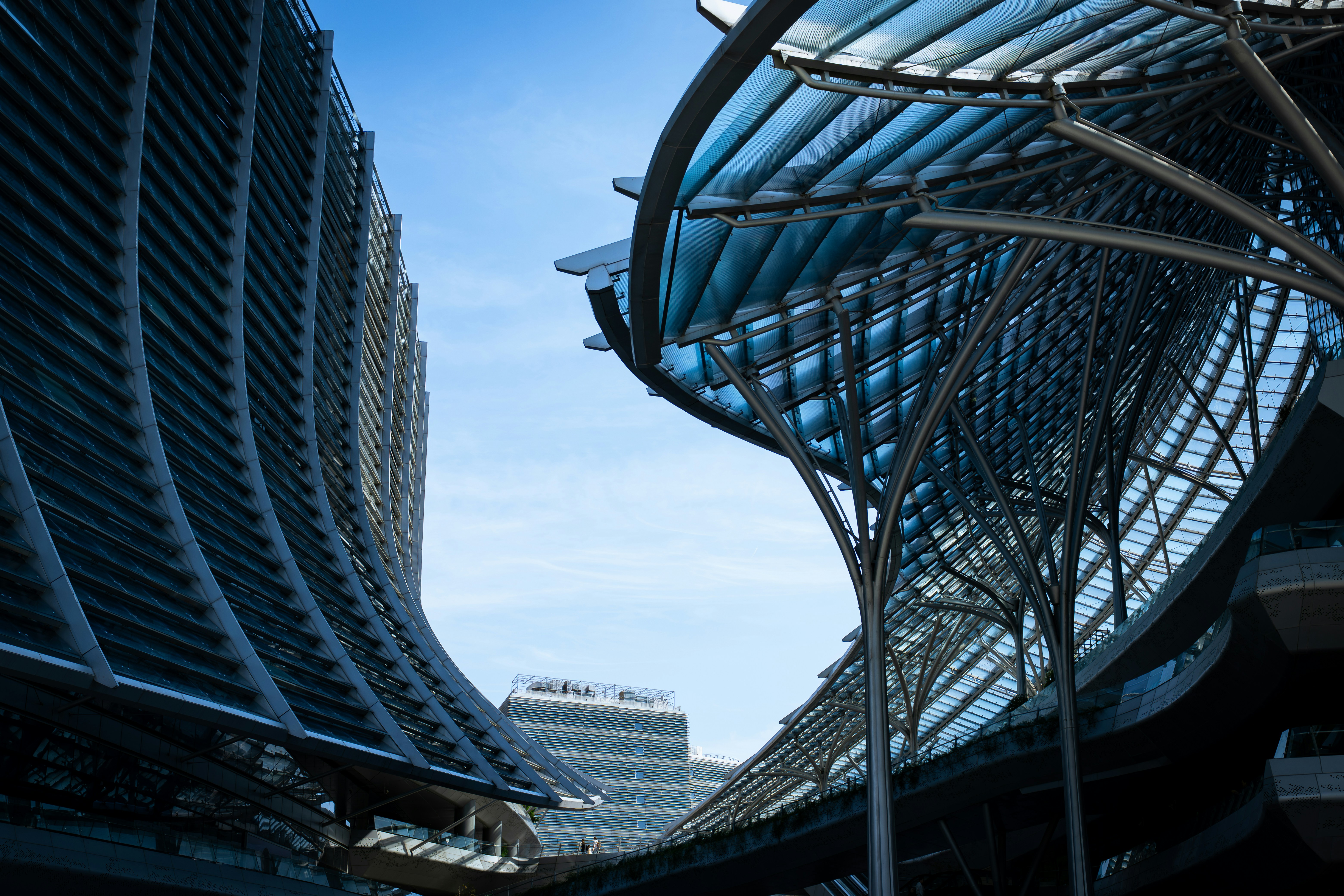 Skyward Arches: A Modern Canopy Framing the City