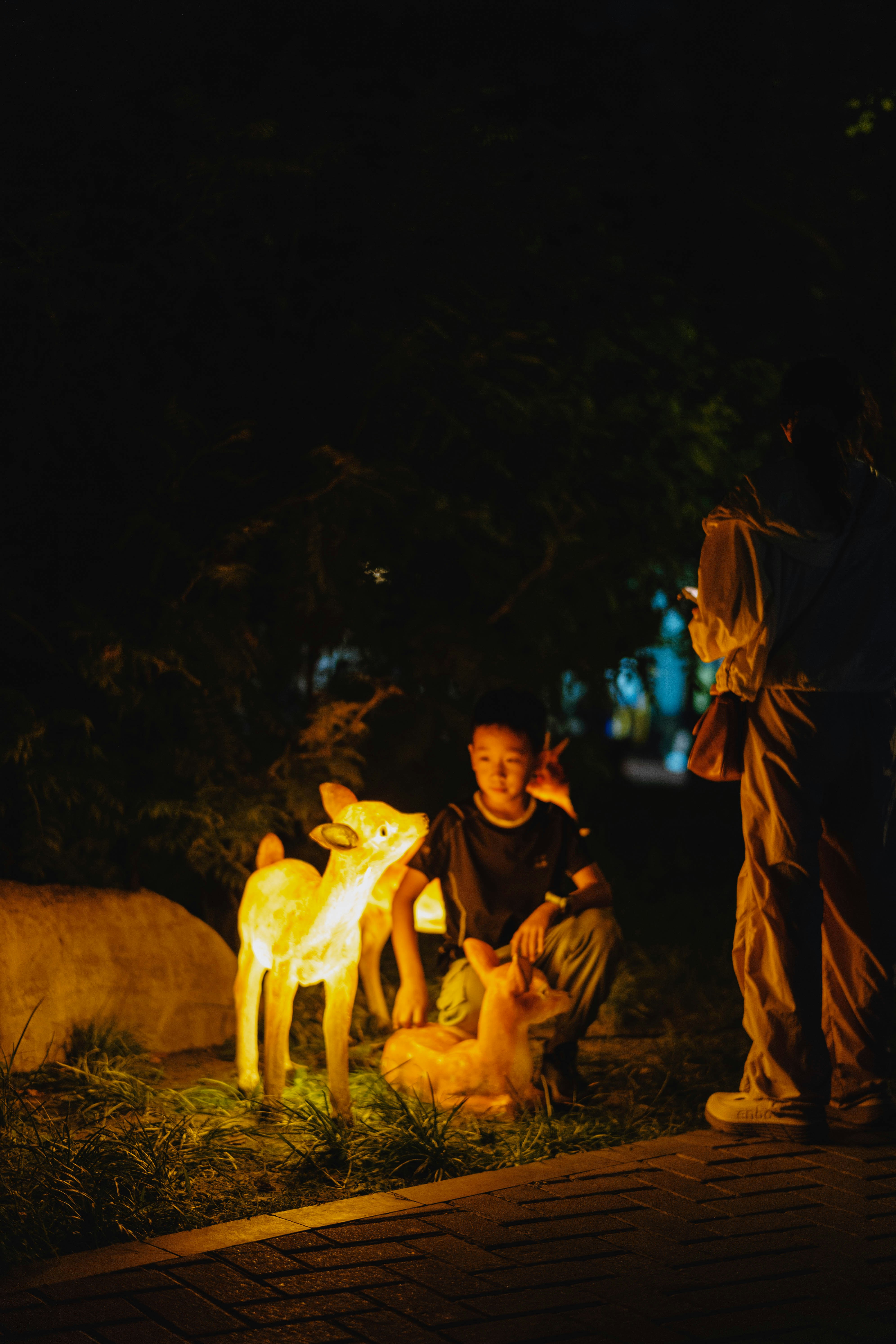 Glow of a Night Deer: Quiet Interaction by Lantern Light
