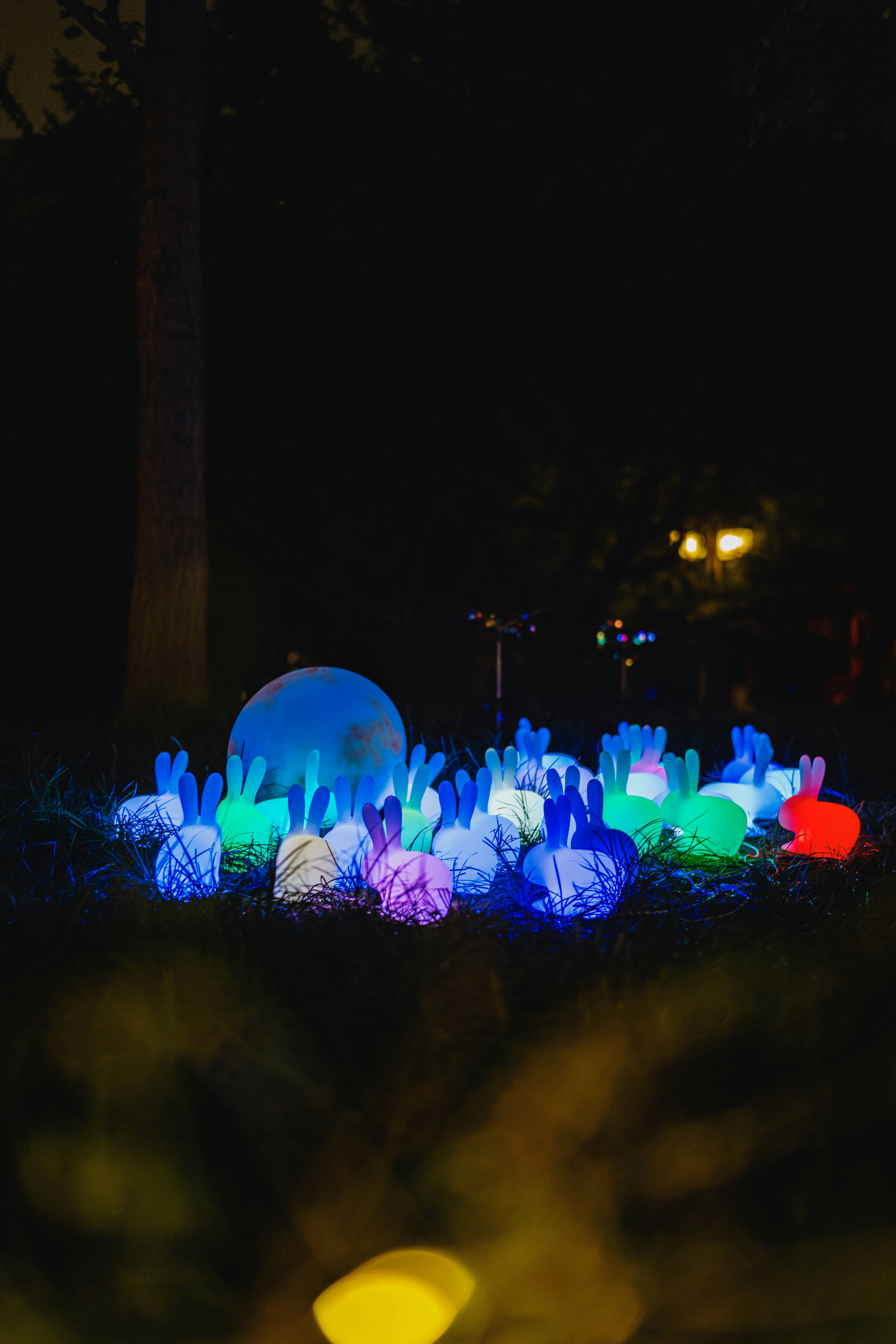 Glowing Orbs in the Night Garden