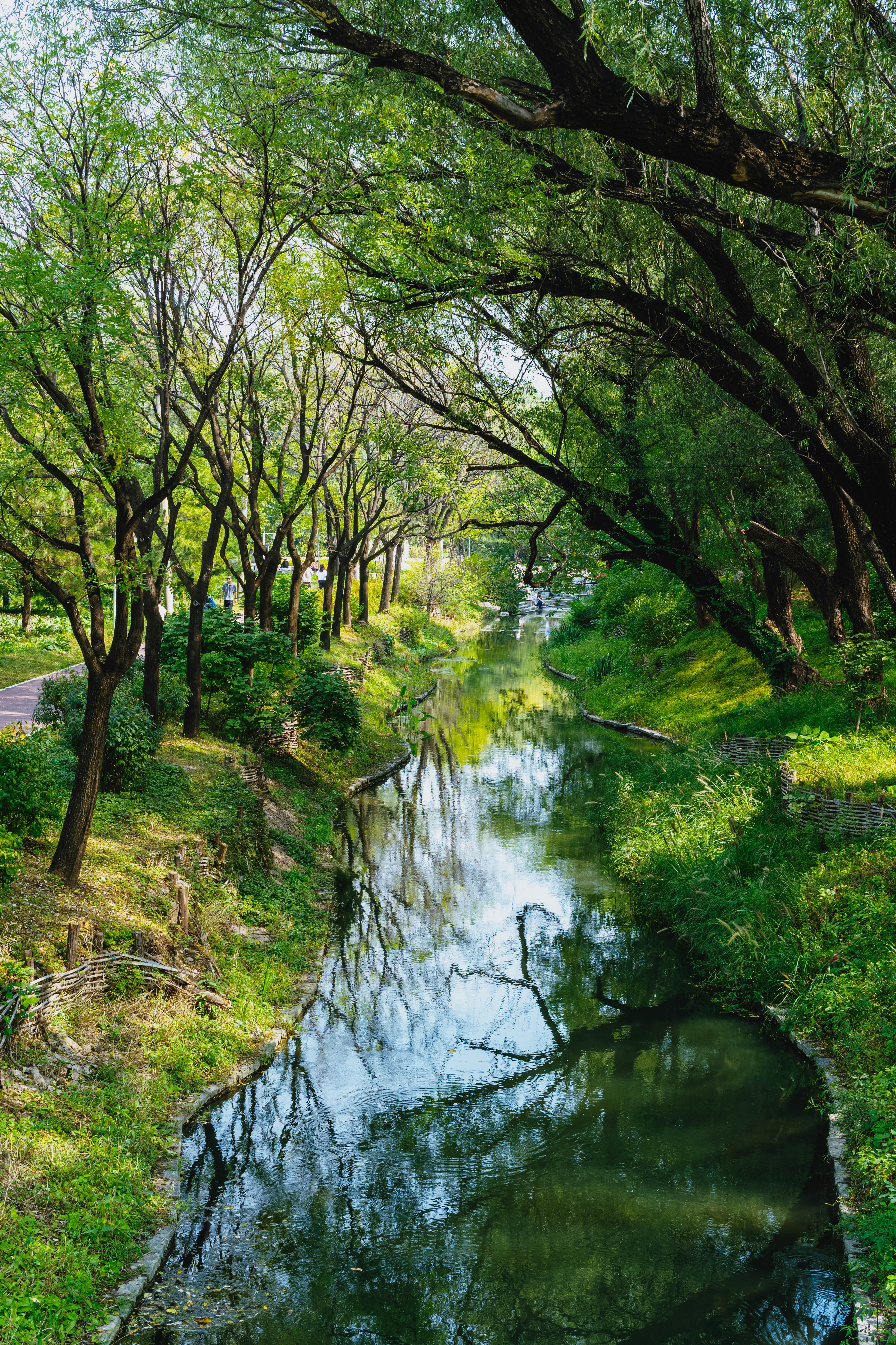 Whispering Canal under Arched Greenways