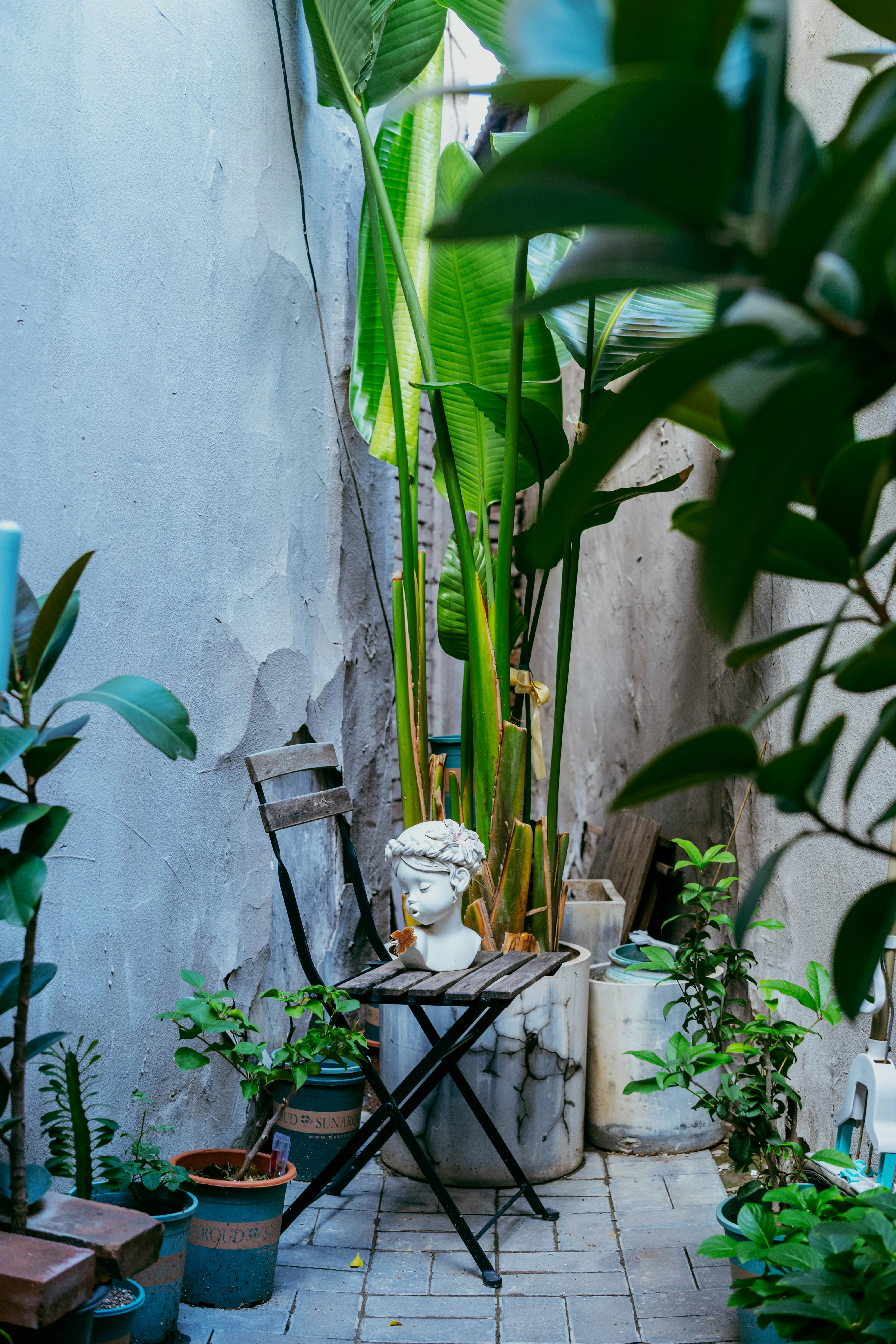 Verdant Corner: A Concrete Terrace Cradles a Classical Bust