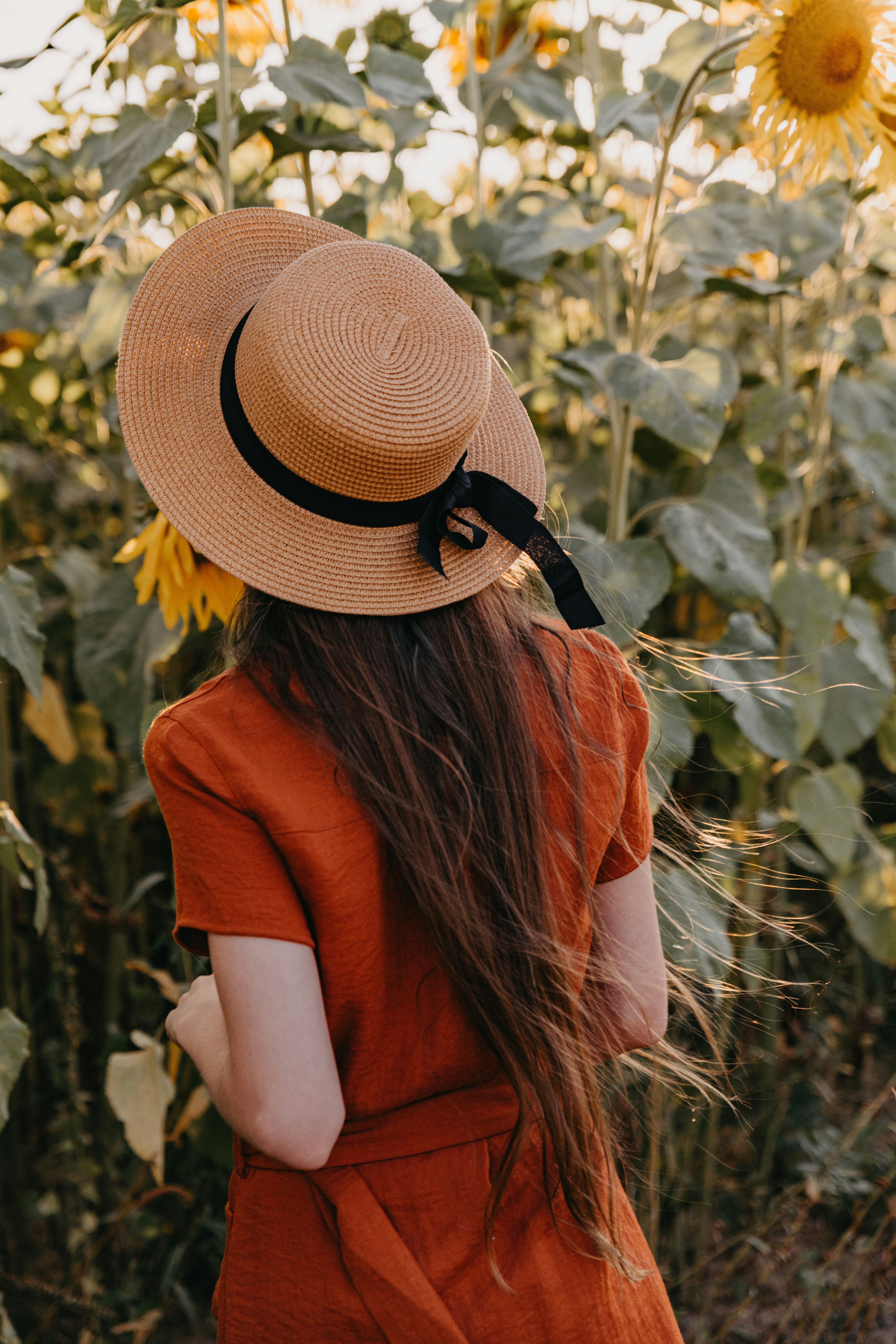 Sunflower Stillness: A Girl in a Field of Gold