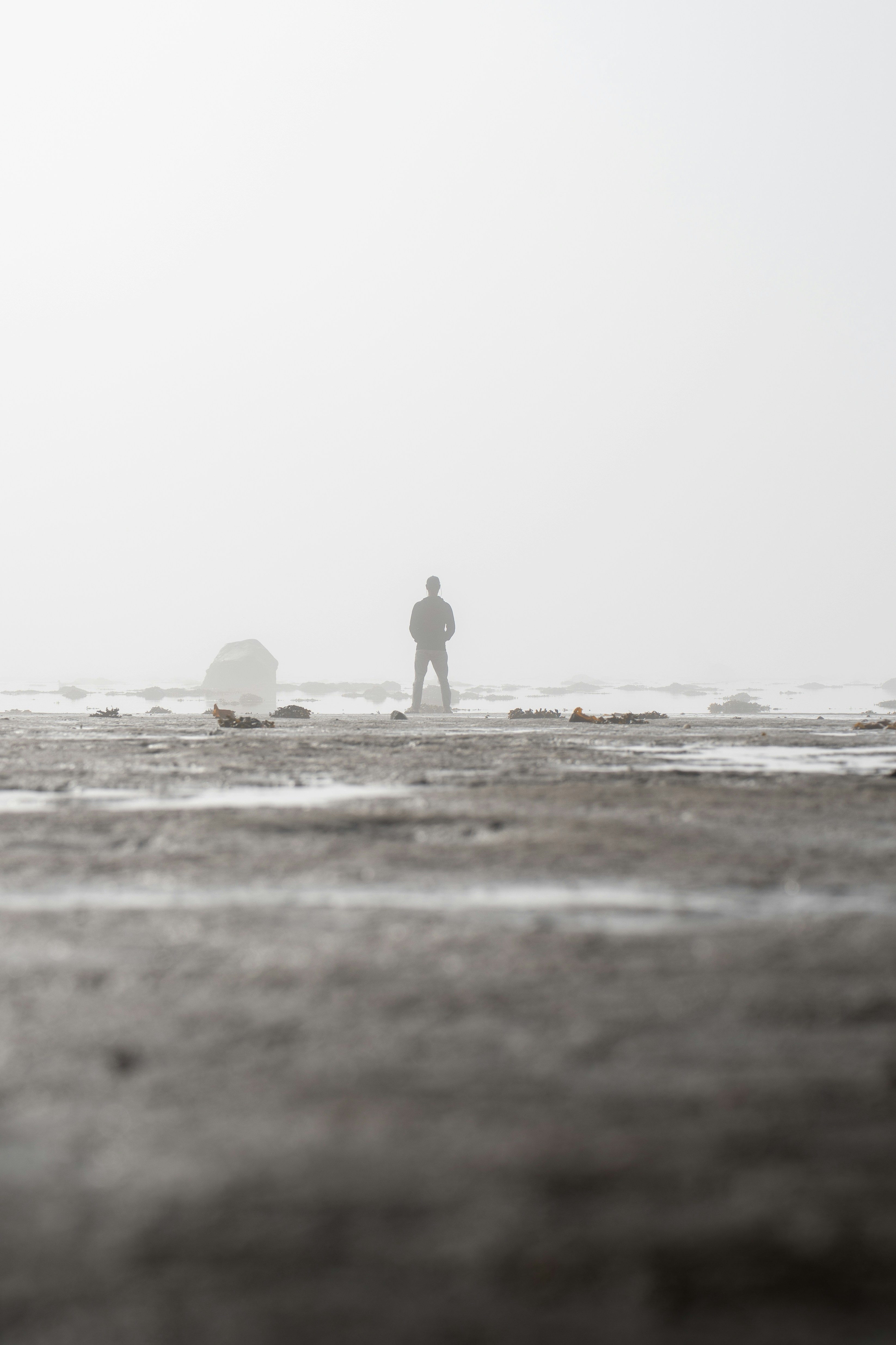 Solitary Stance at the Horizon