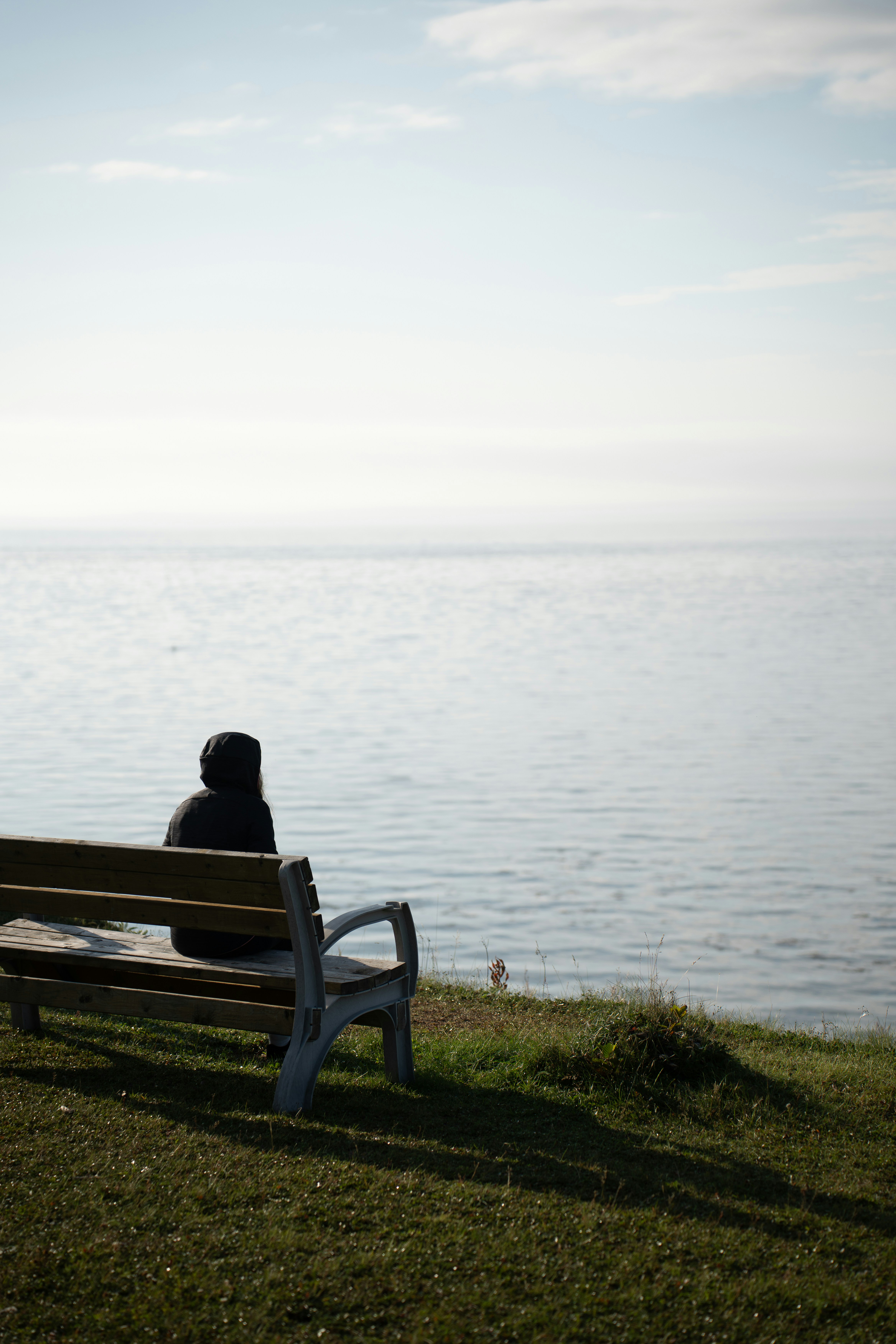 Solitude by the Seaside Bench
