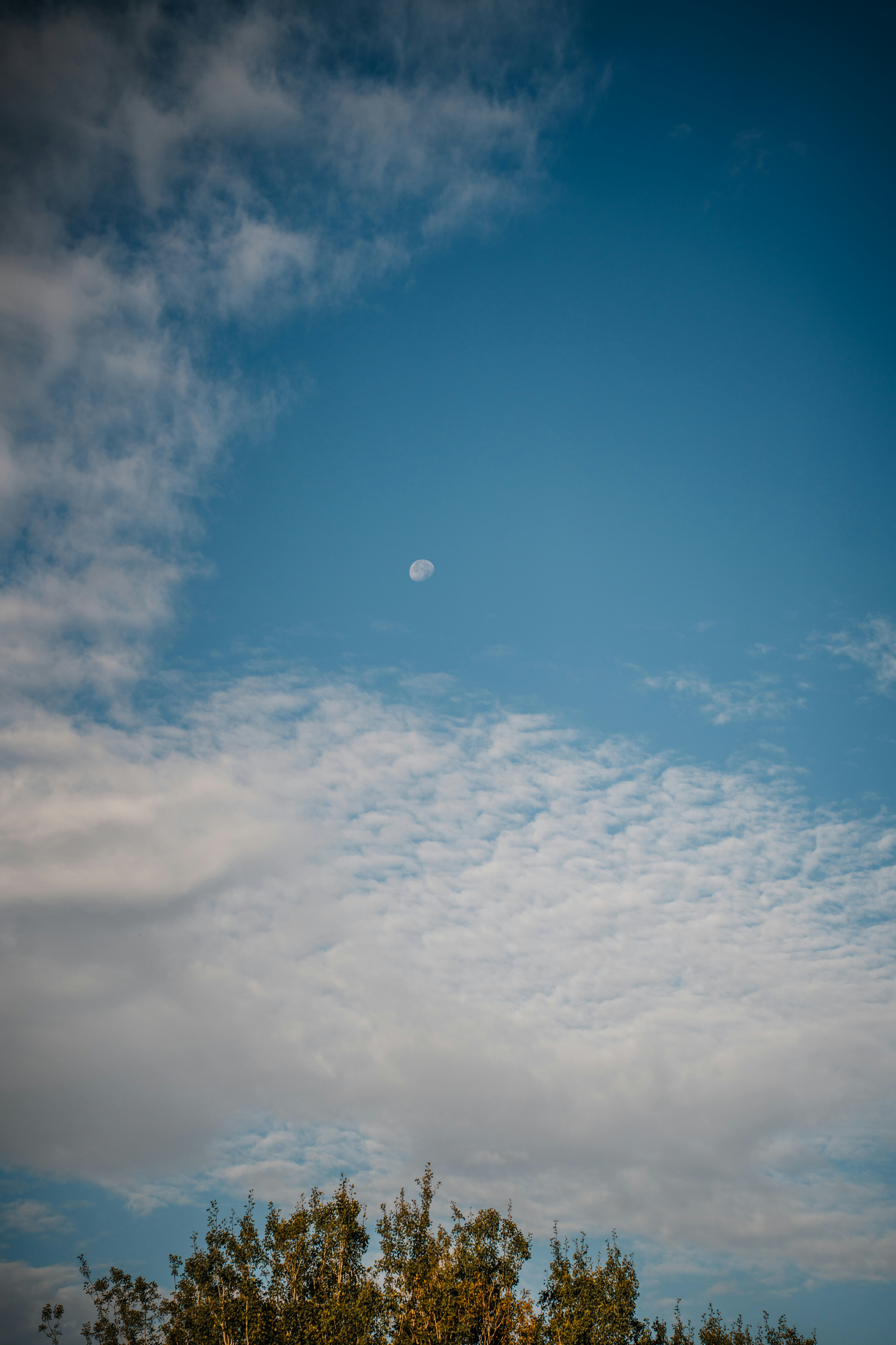 Moon in a Clear Trench of Sky Over Distant Treeline